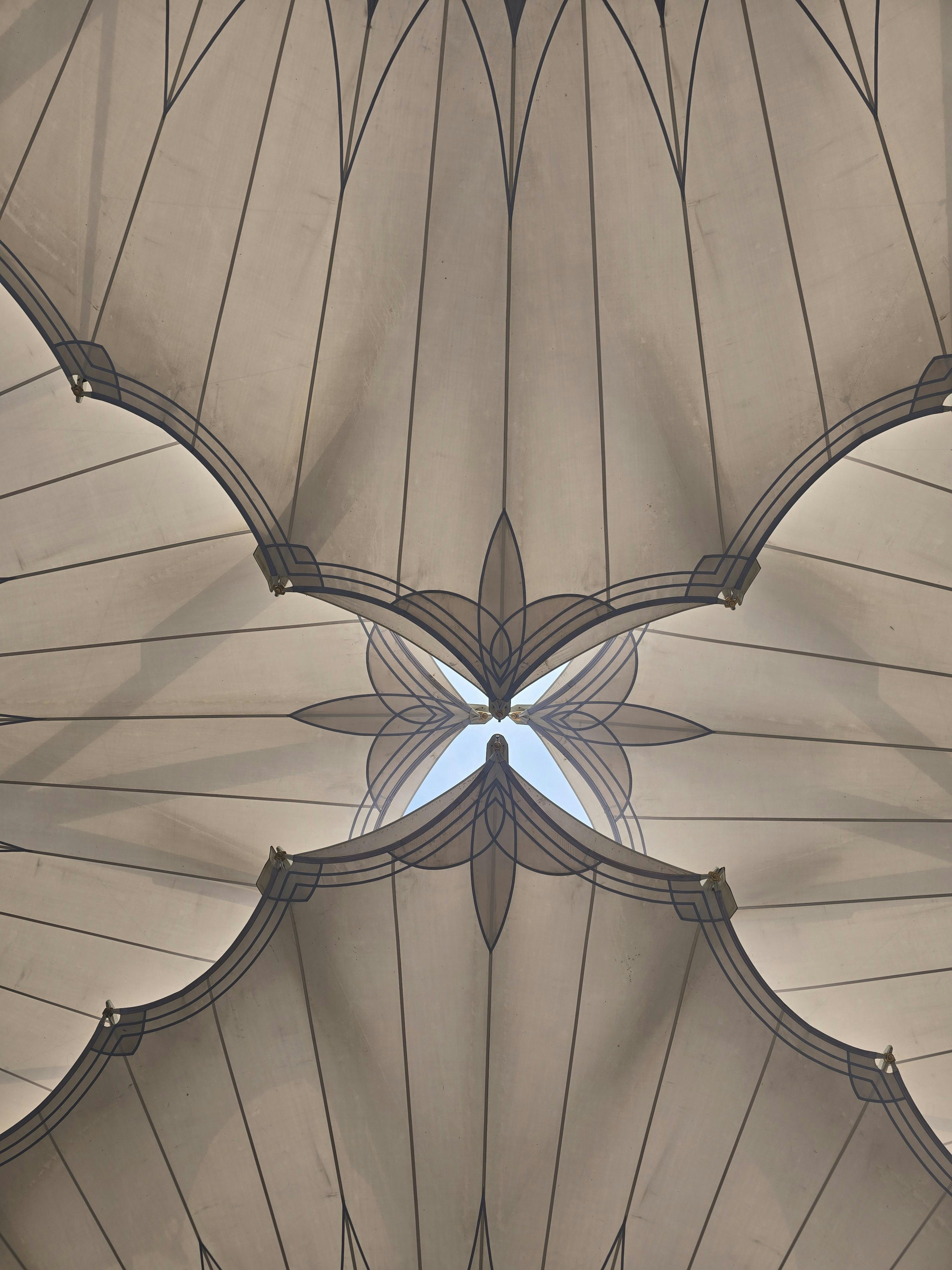 Intricate geometric architectural canopy design · Free Stock Photo