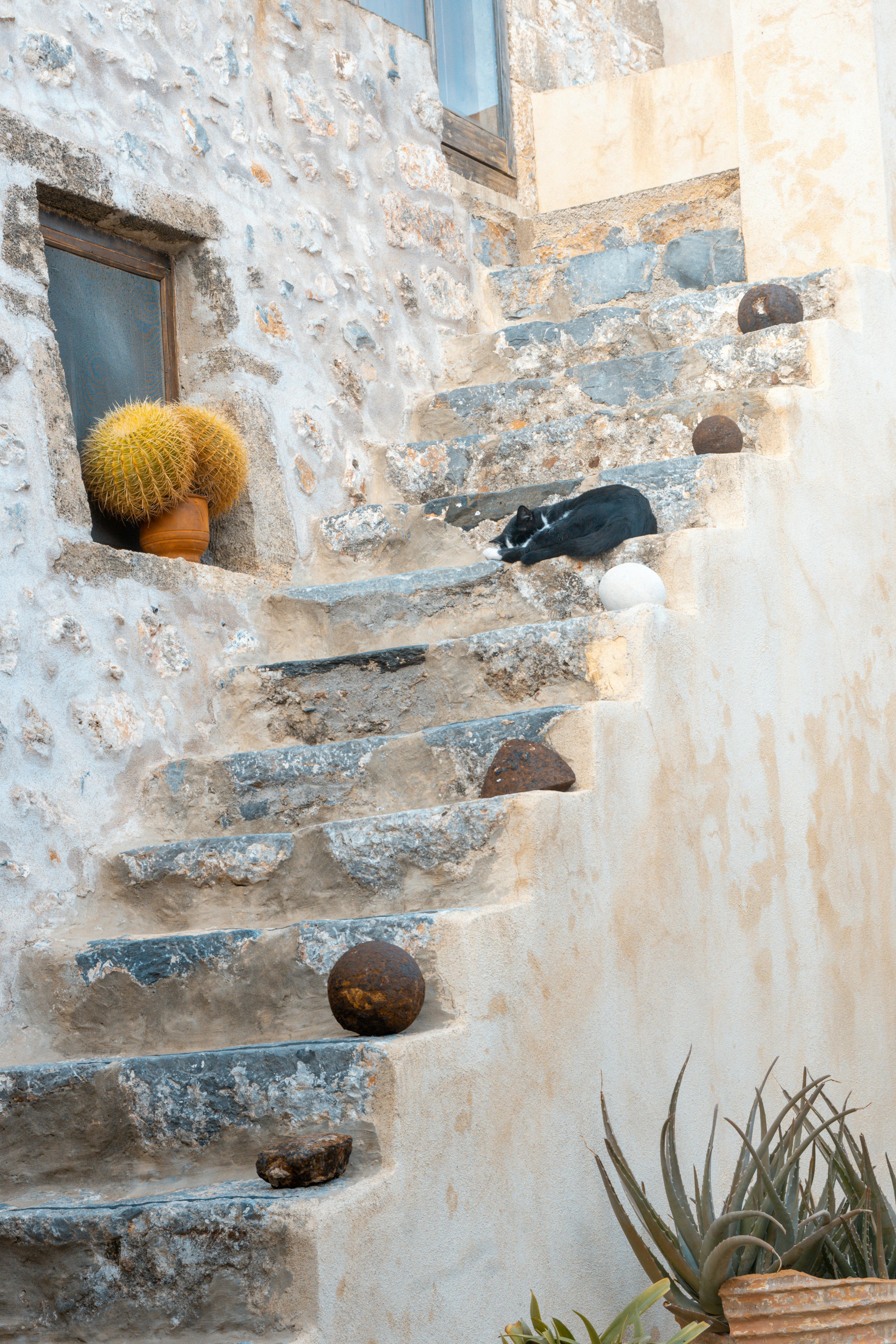 Rustic Stone Staircase with Cat in Monemvasia · Free Stock Photo