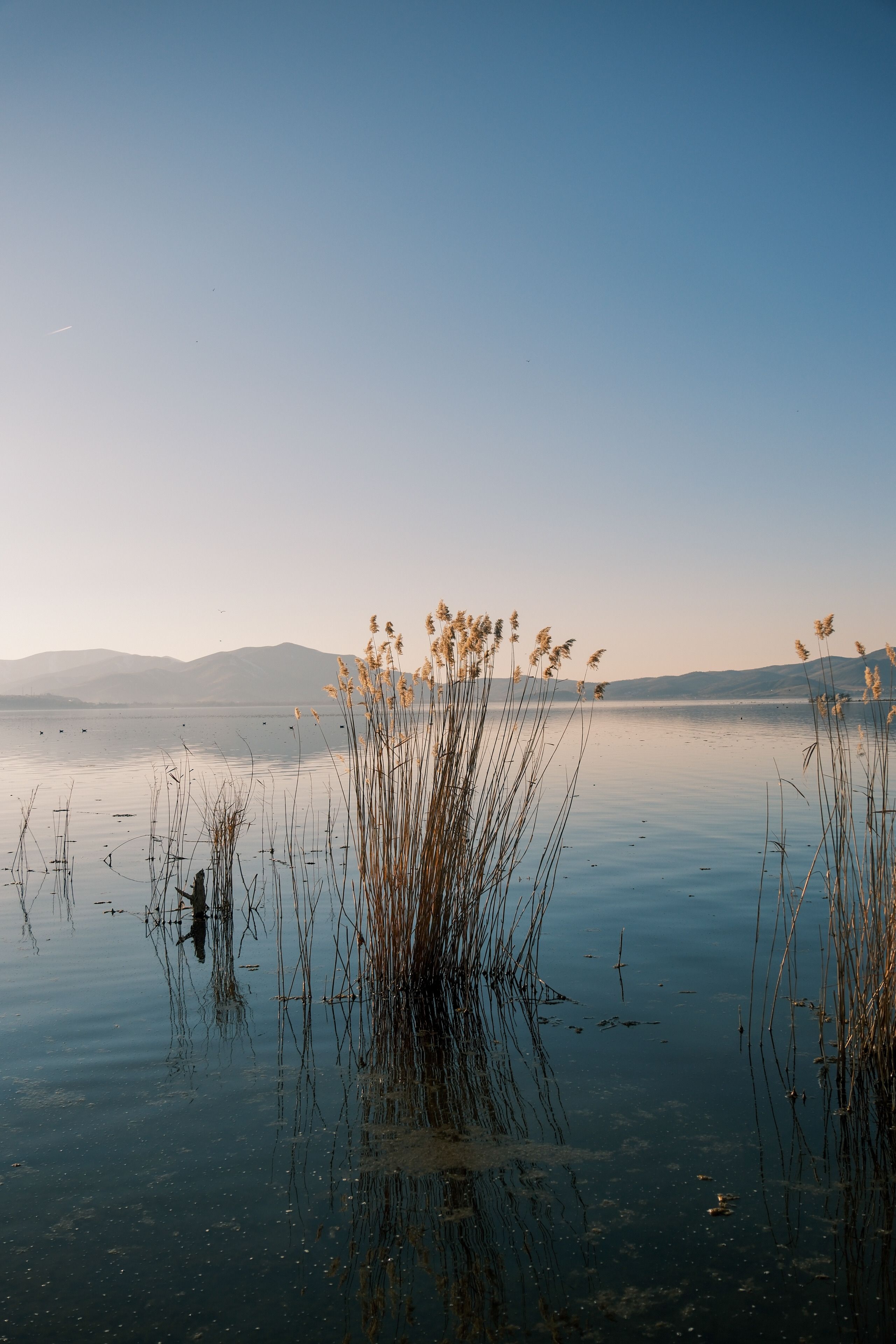 Idyllic Türkiye Landscape with Minaret Reflection · Free Stock Photo