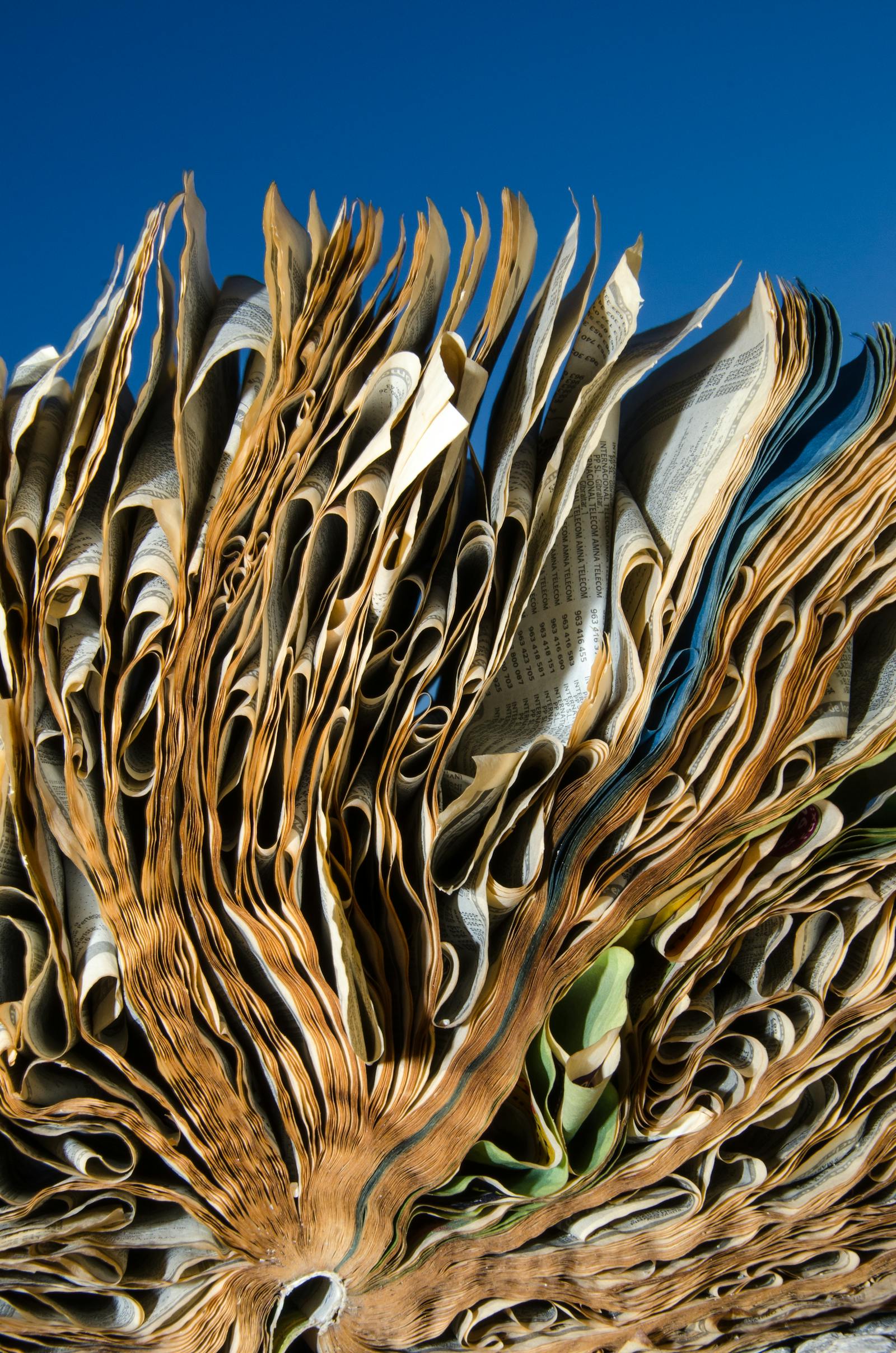 Book Pages Background Photos, Download The BEST Free Book Pages ...