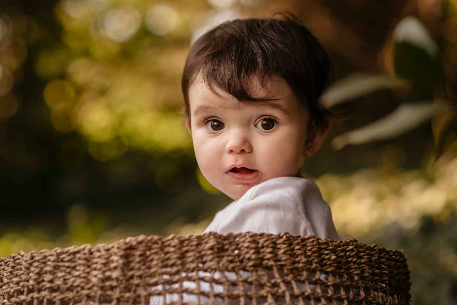 Subtle Background Photos, Download The BEST Free Subtle Background ...