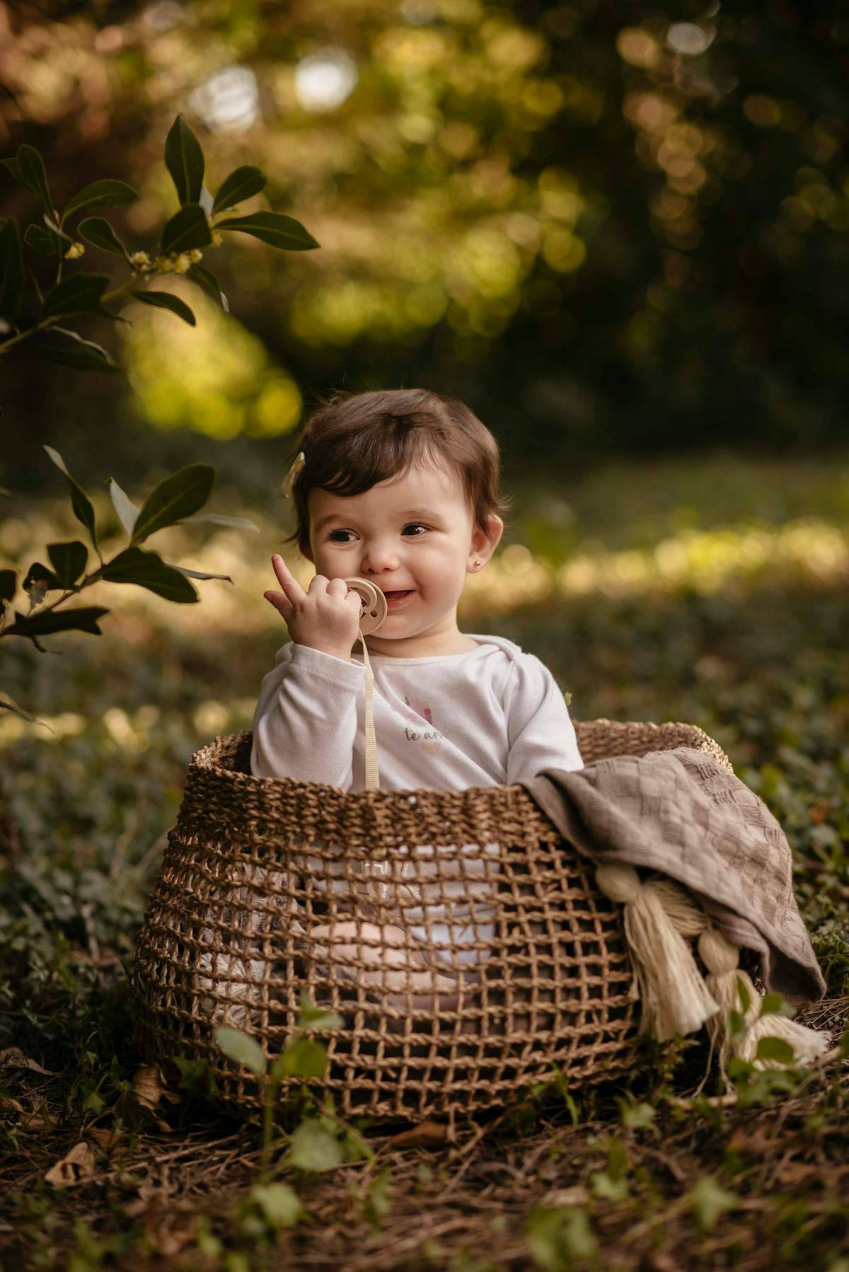 Baby Trees Photos, Download The BEST Free Baby Trees Stock Photos & HD ...