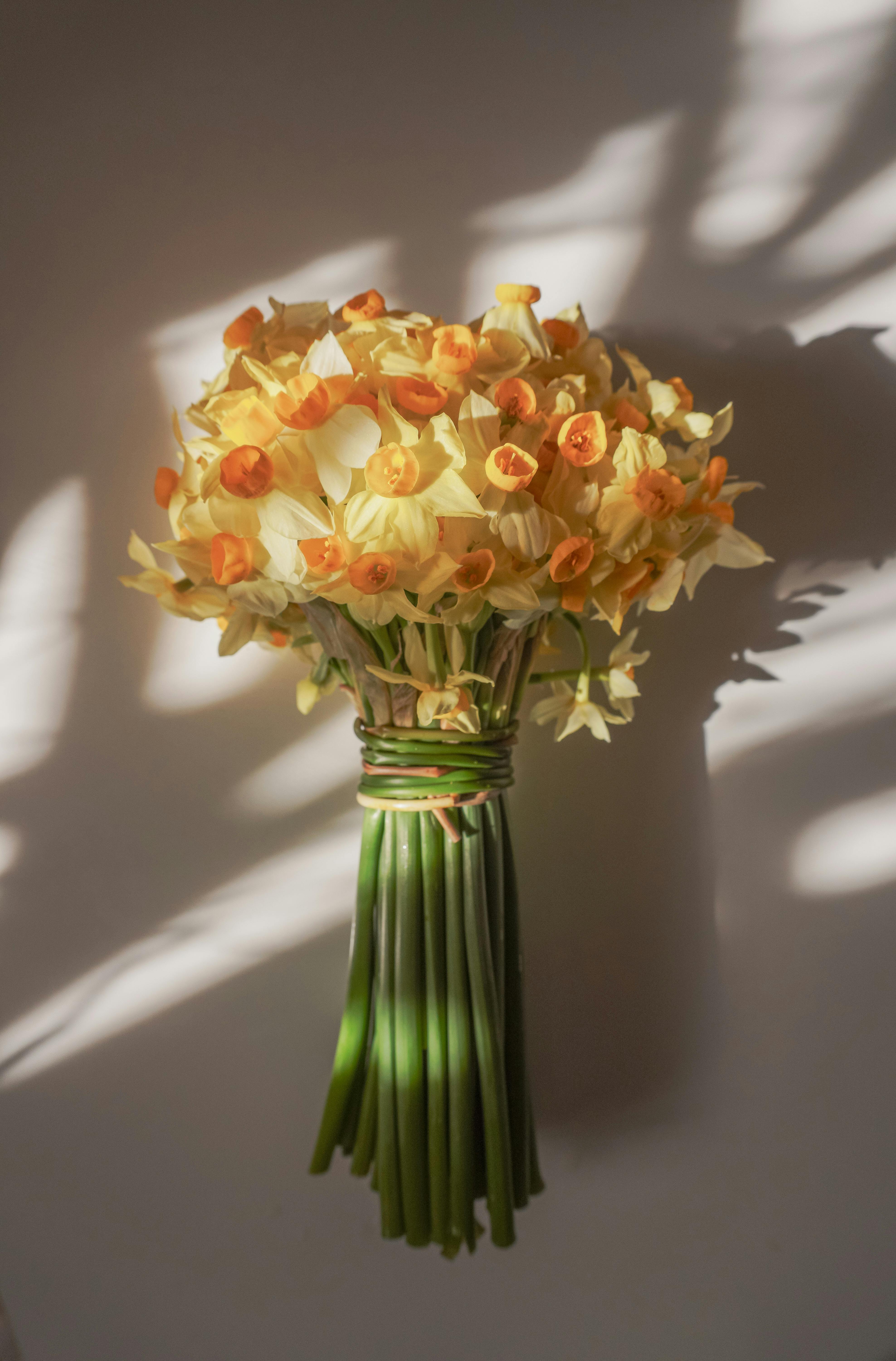 500 000+ Flower Carpet Texture banque d’images et photos libres de ...