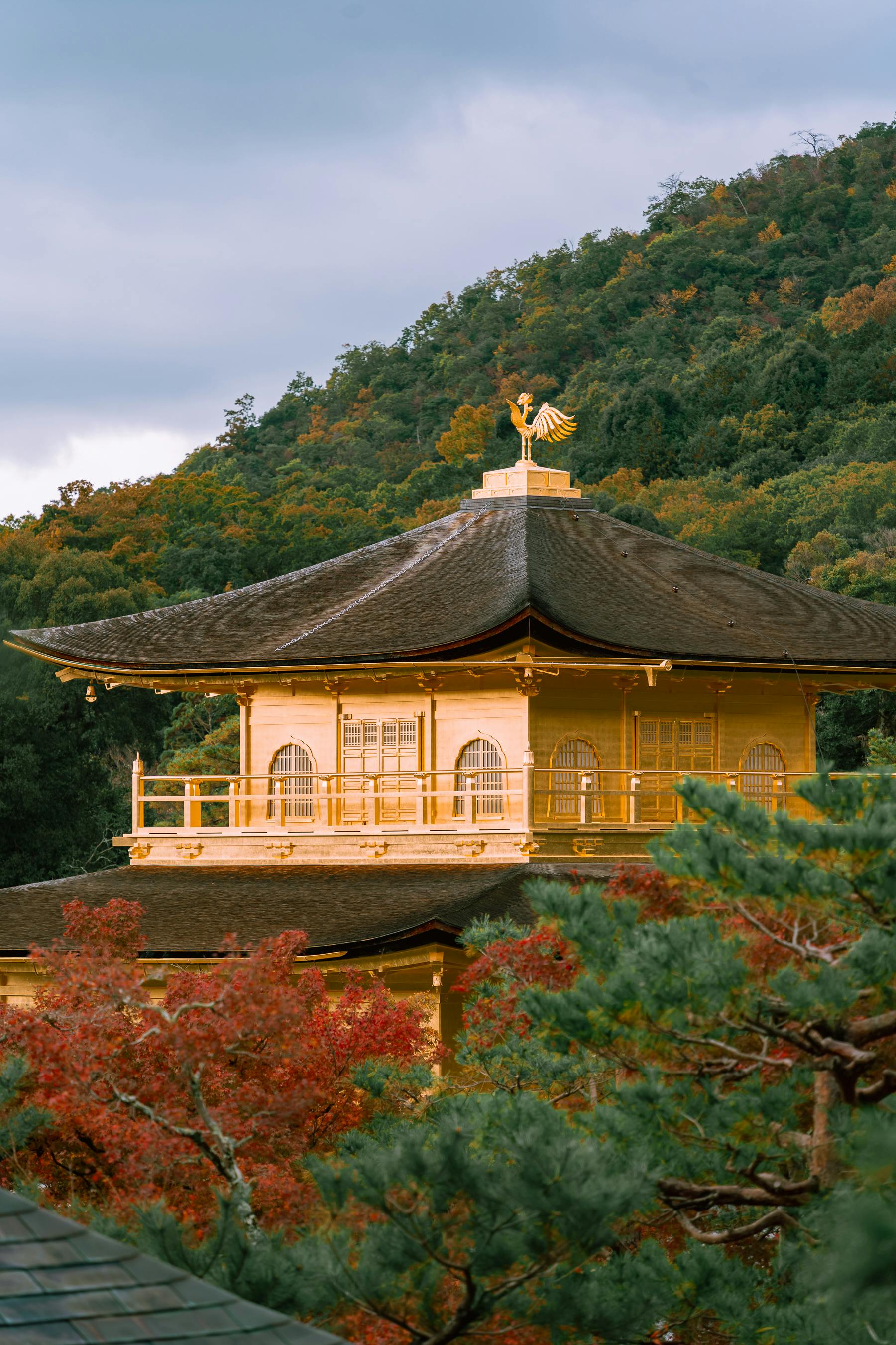 Japan Image Photos, Download The BEST Free Japan Image Stock Photos ...