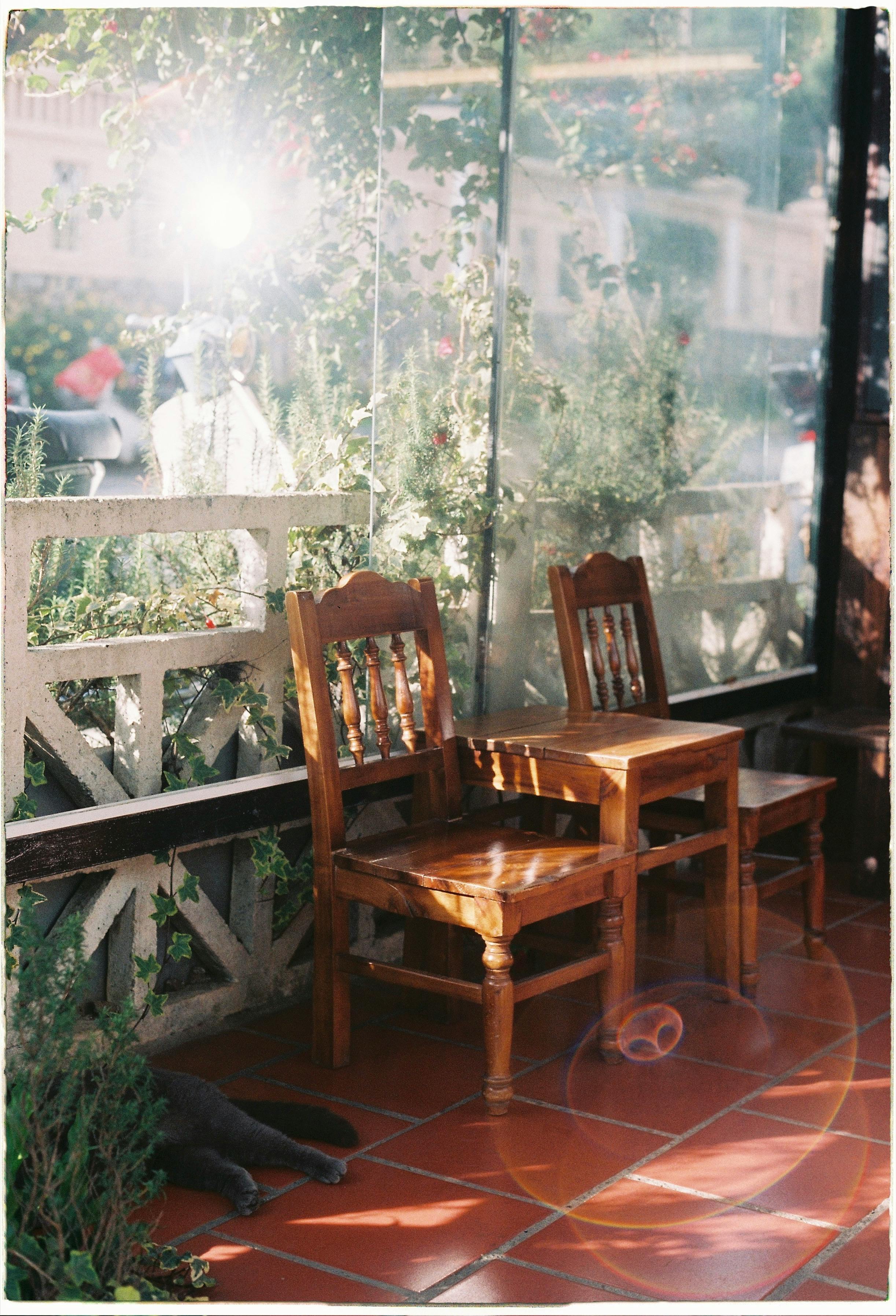 Nature Interlude Photos, Download The BEST Free Nature Interlude Stock ...