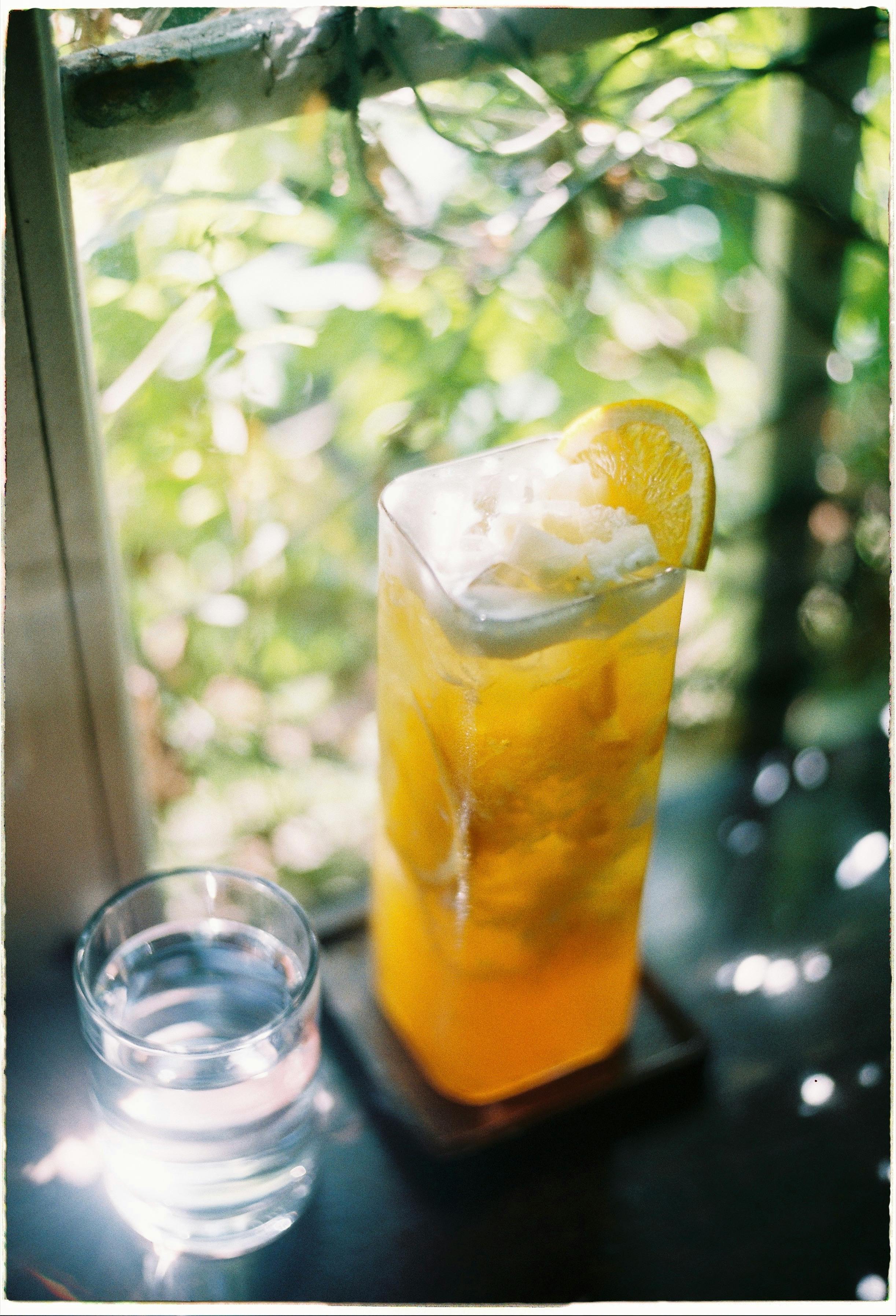 Refreshing Citrus Drink with Ice in Sunlit Setting · Free Stock Photo