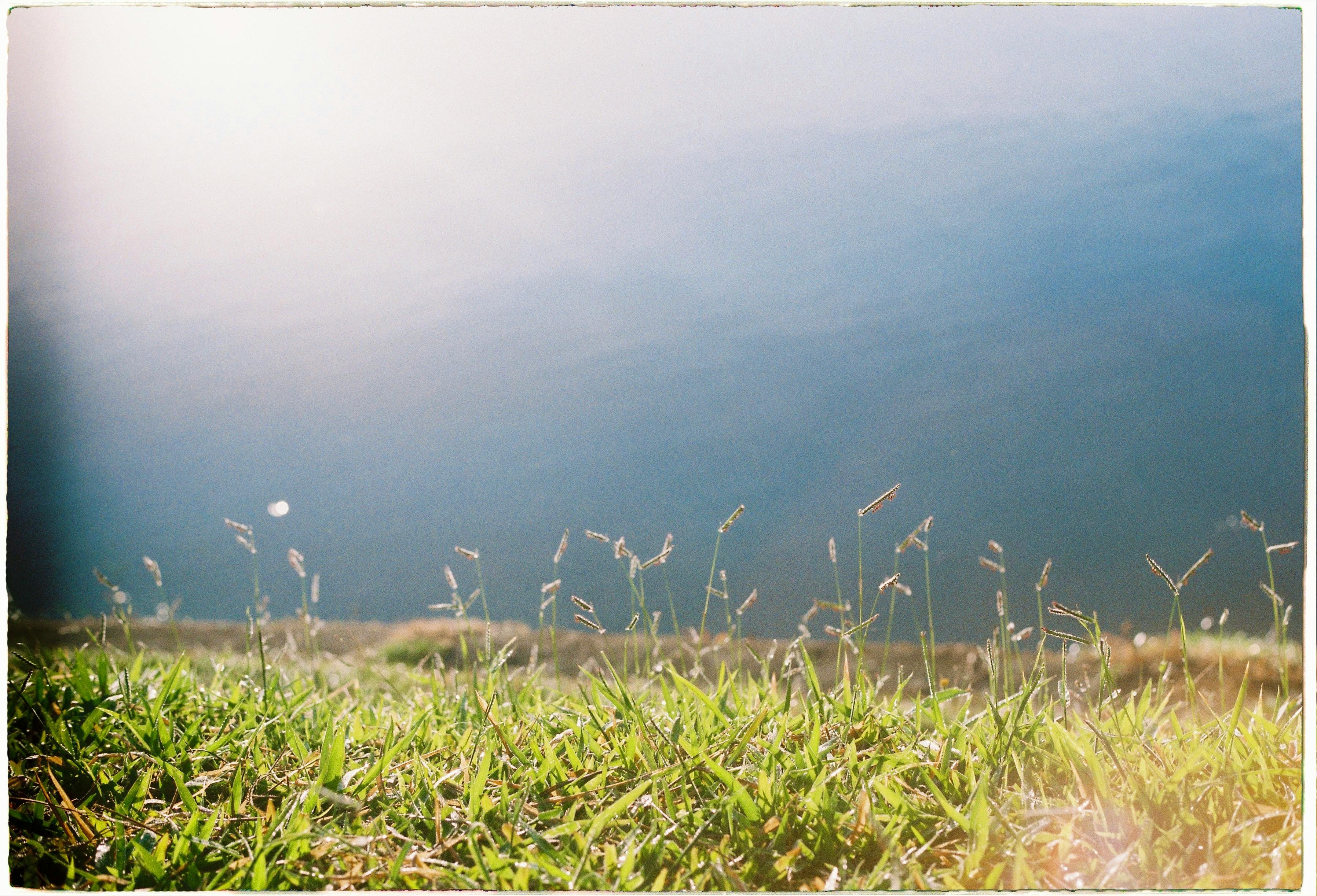 Ground General View Photos, Download The BEST Free Ground General View ...