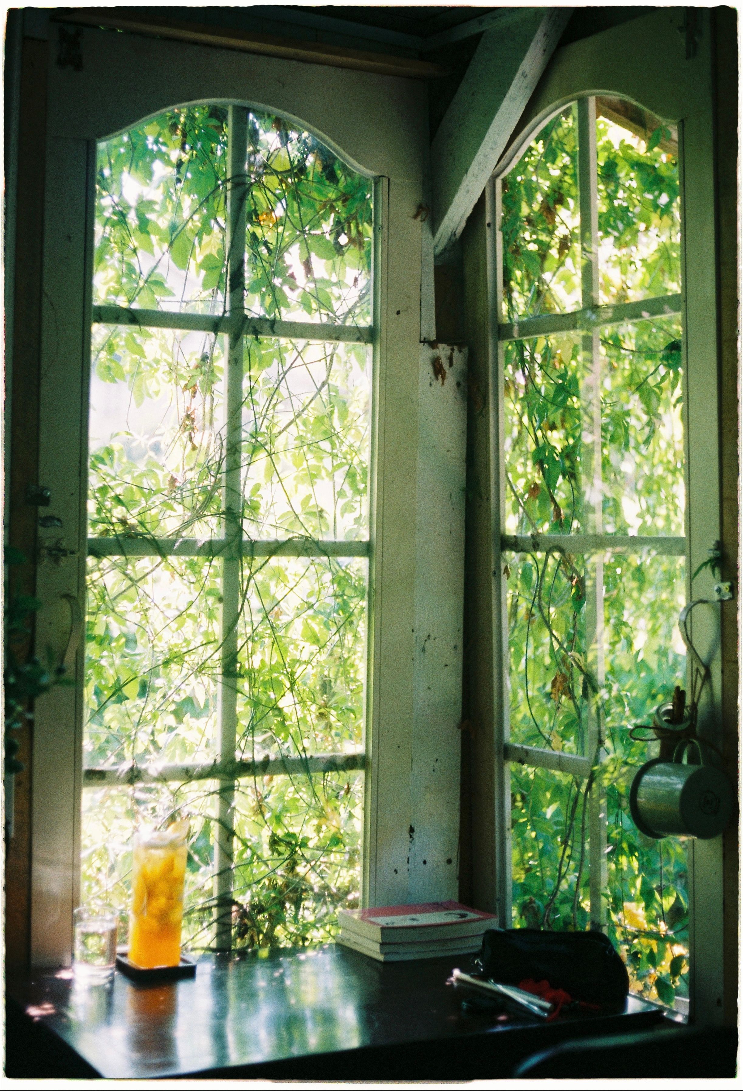 Book, Coffee, Window, Plants, Cosy Photos, Download The BEST Free Book ...