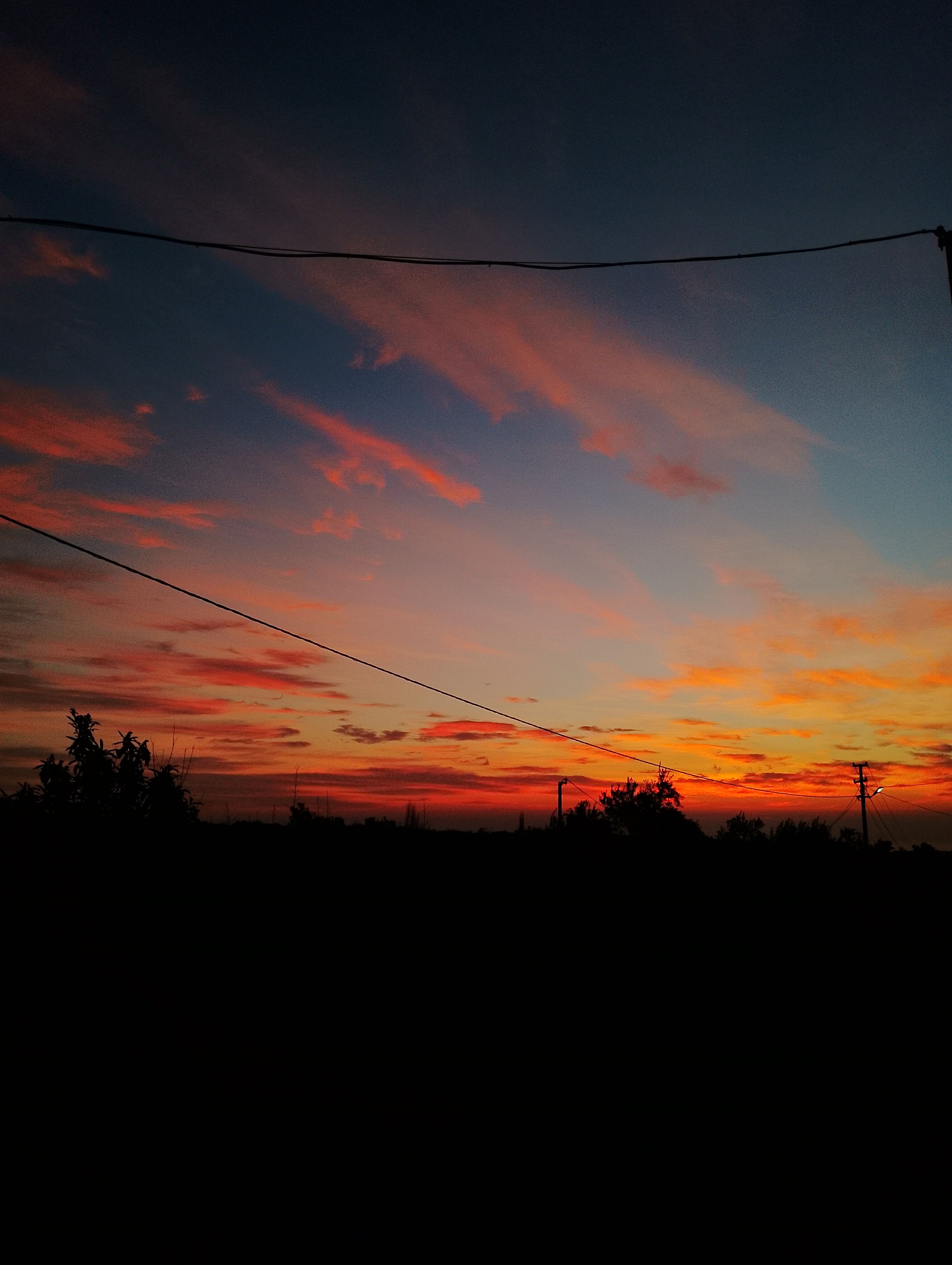 Vibrant Sunset with Silhouetted Trees and Power Lines · Free Stock Photo