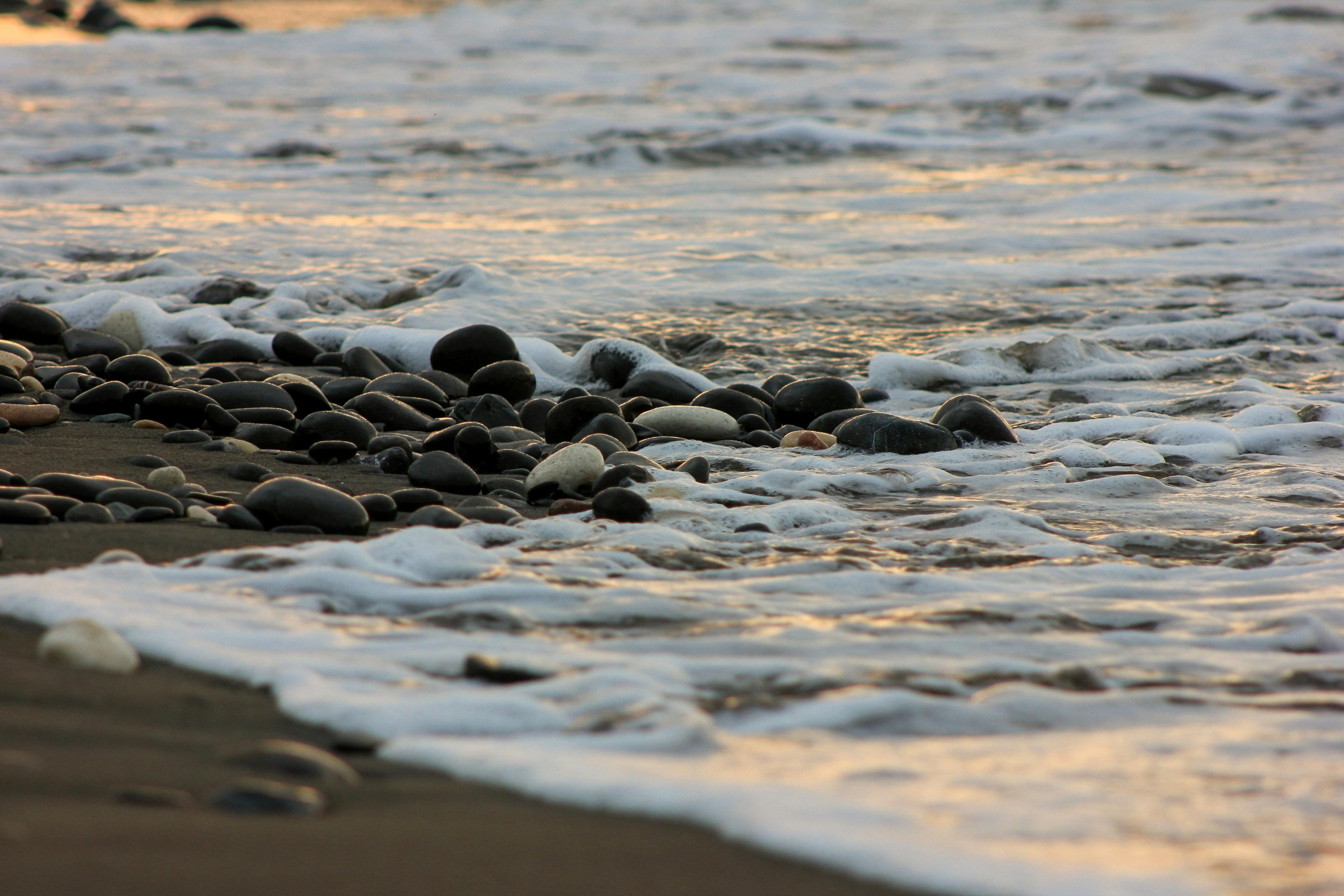 Serene Beach Waves Gently Washing Over Pebbles · Free Stock Photo