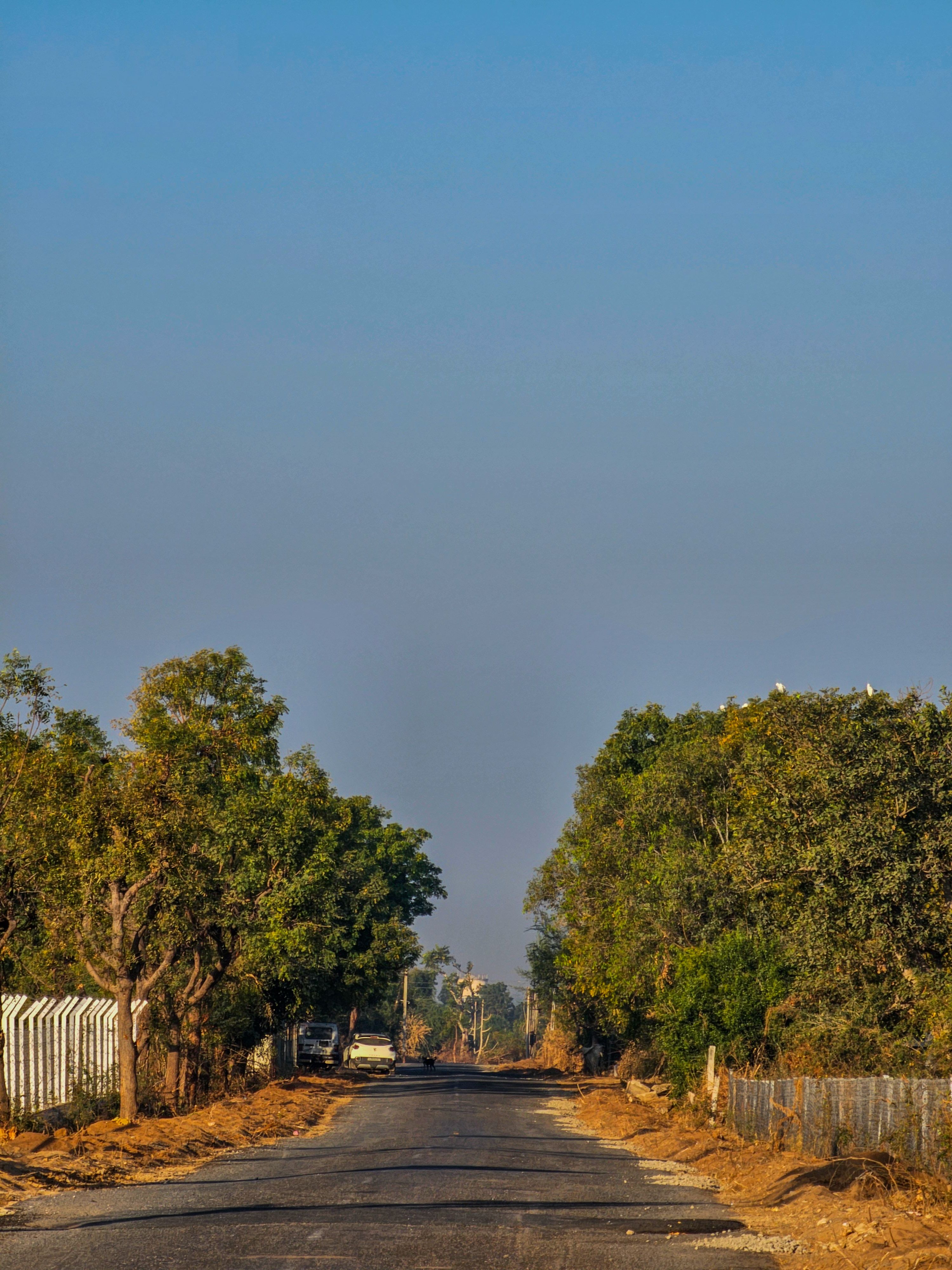 Peaceful Rural Road in Gujarat, India · Free Stock Photo