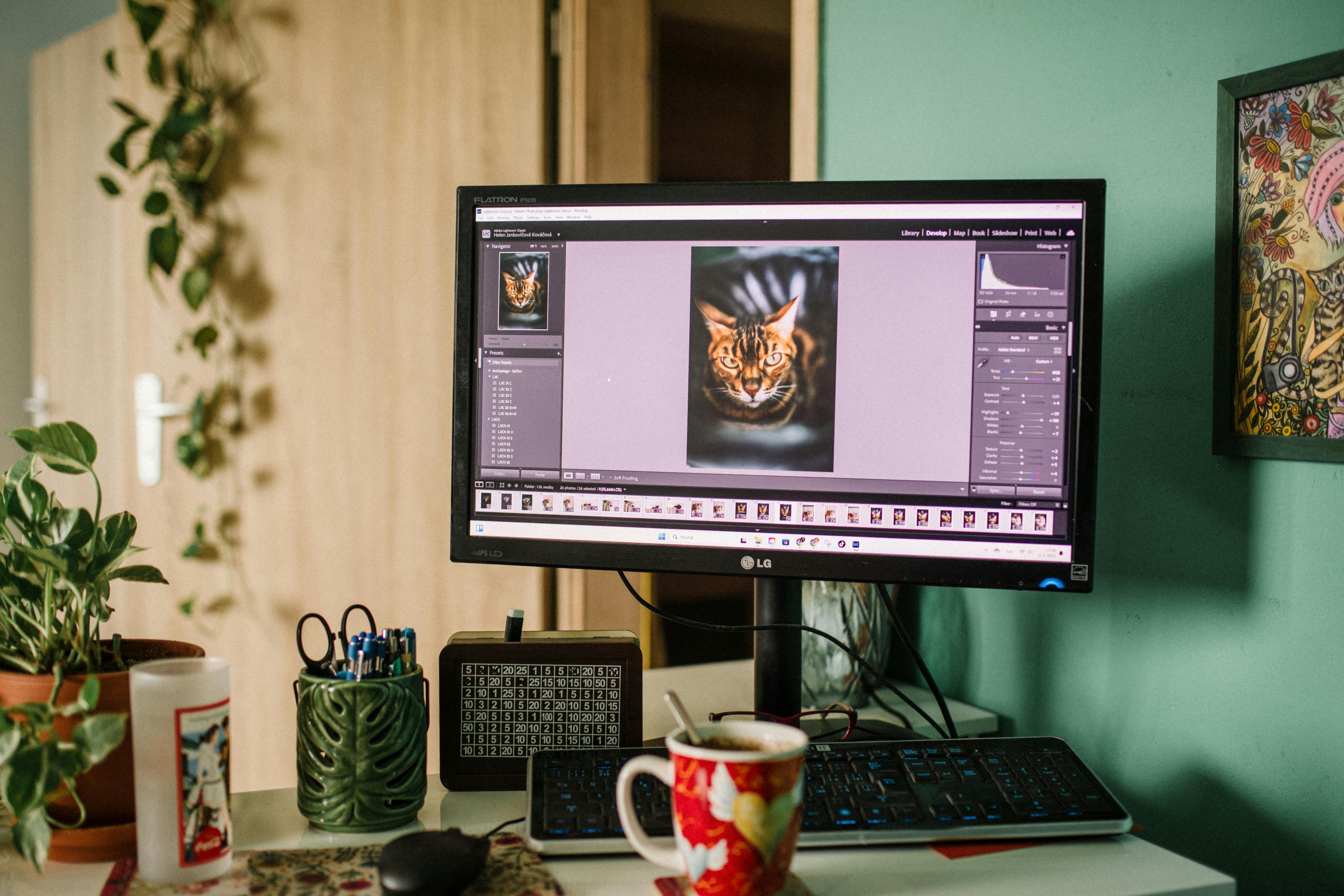 Home office desktop with editing software on screen · Free Stock Photo