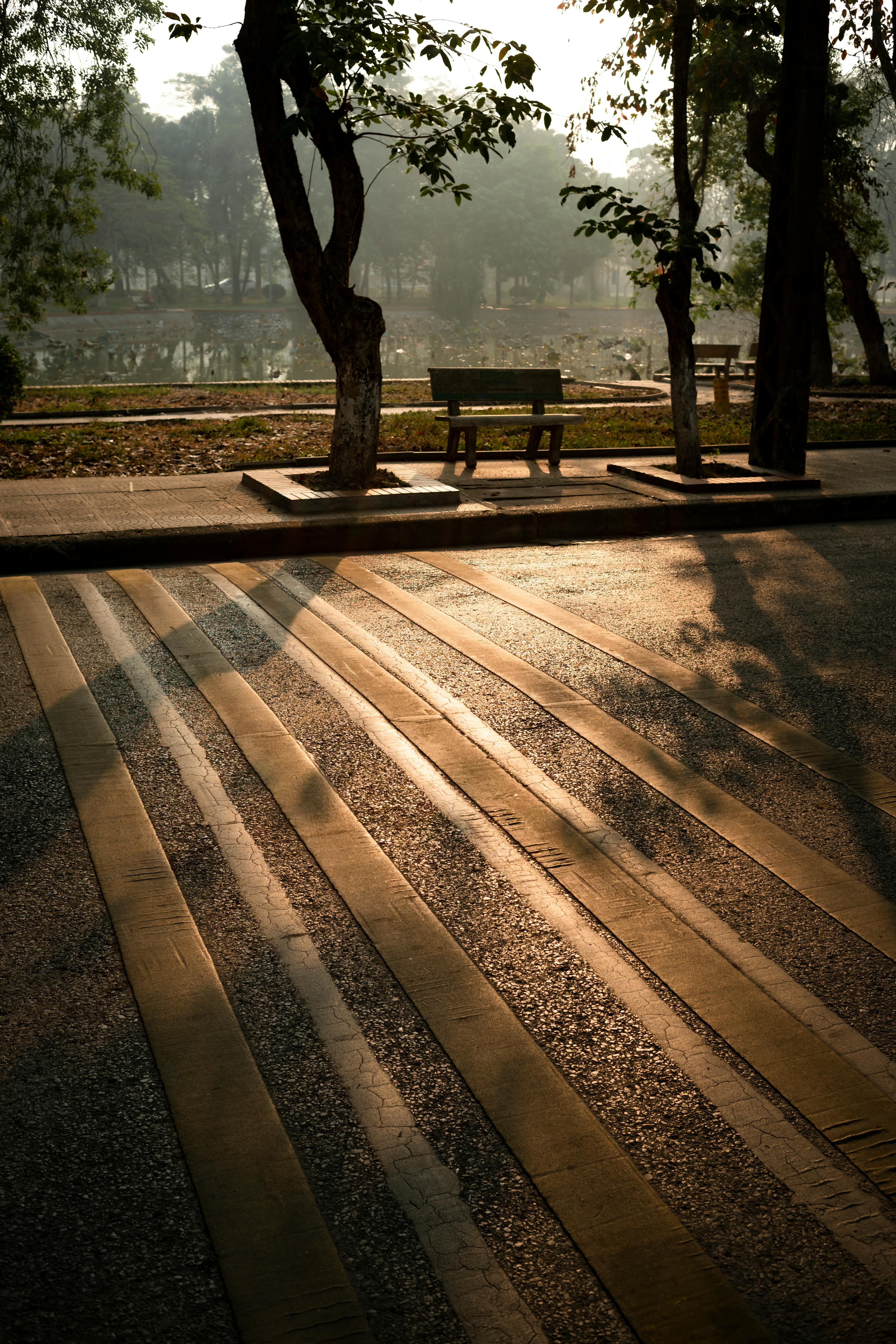 Peaceful Park Bench in Morning Sunlight, Hanoi · Free Stock Photo