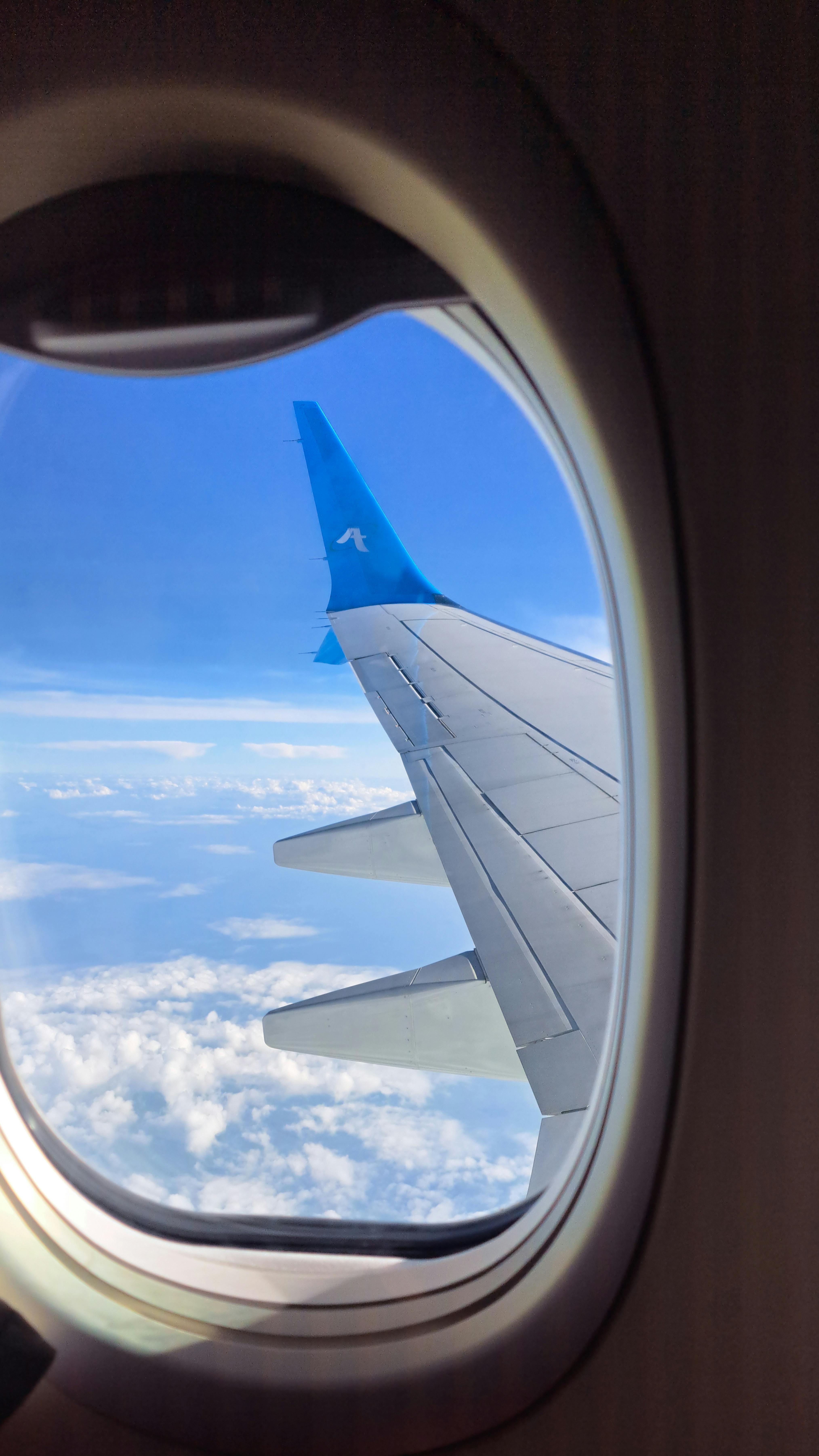 Smooth Flight Photos, Download The BEST Free Smooth Flight Stock Photos ...