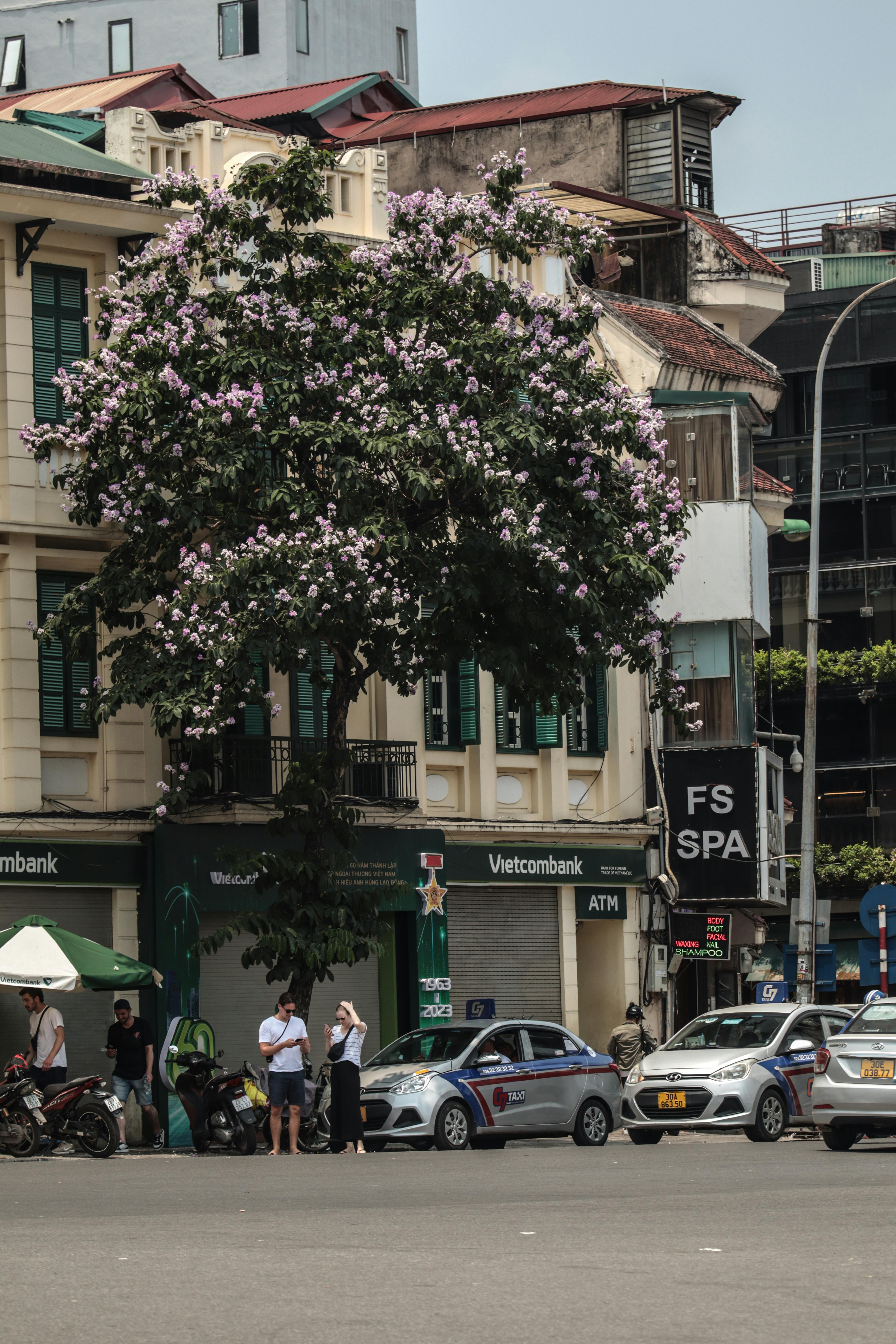 Vietcombank Turu Photos, Download The BEST Free Vietcombank Turu Stock ...