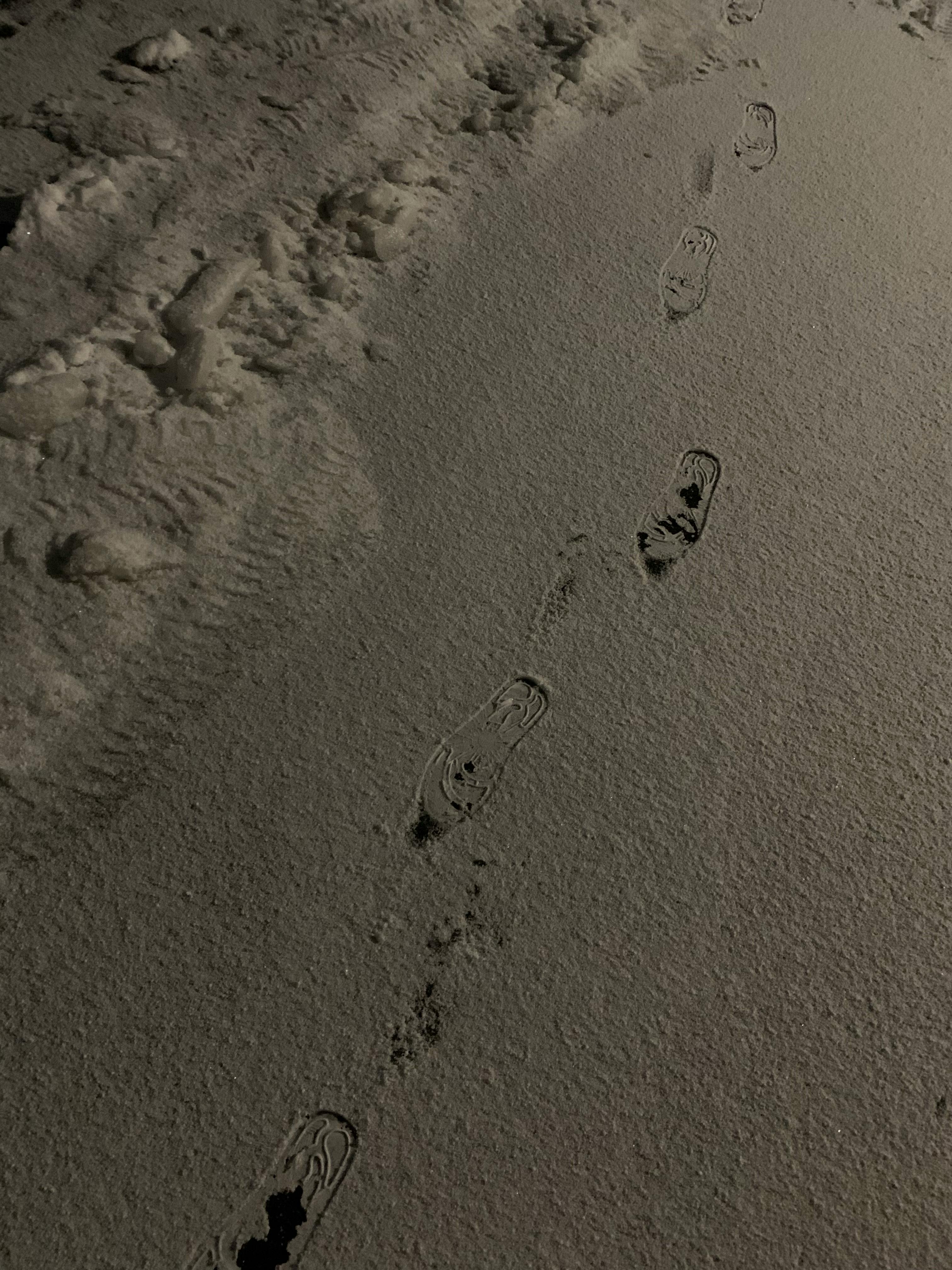 Footprints in Snow at Night · Free Stock Photo