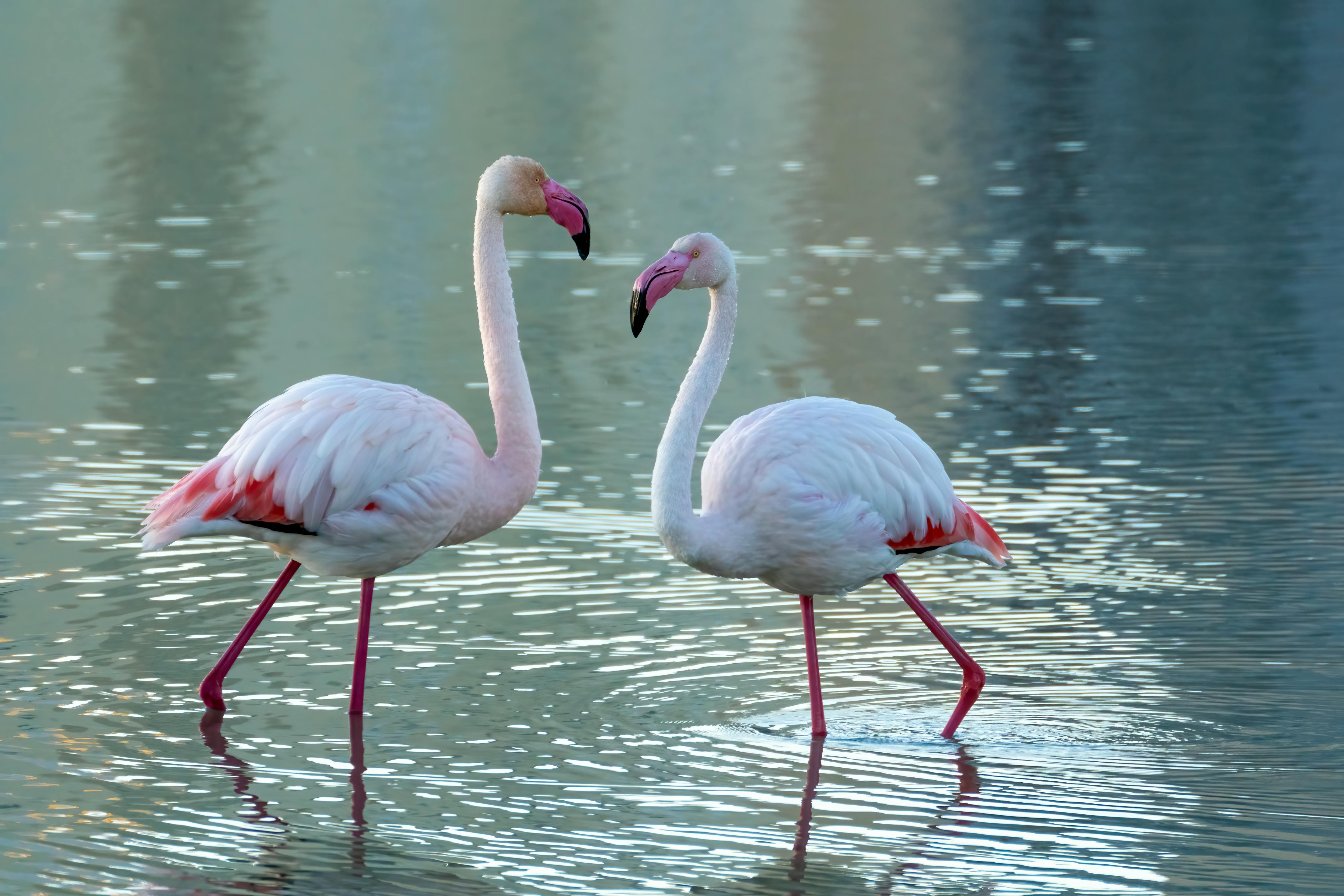 Spanish Lake Photos, Download The BEST Free Spanish Lake Stock Photos ...