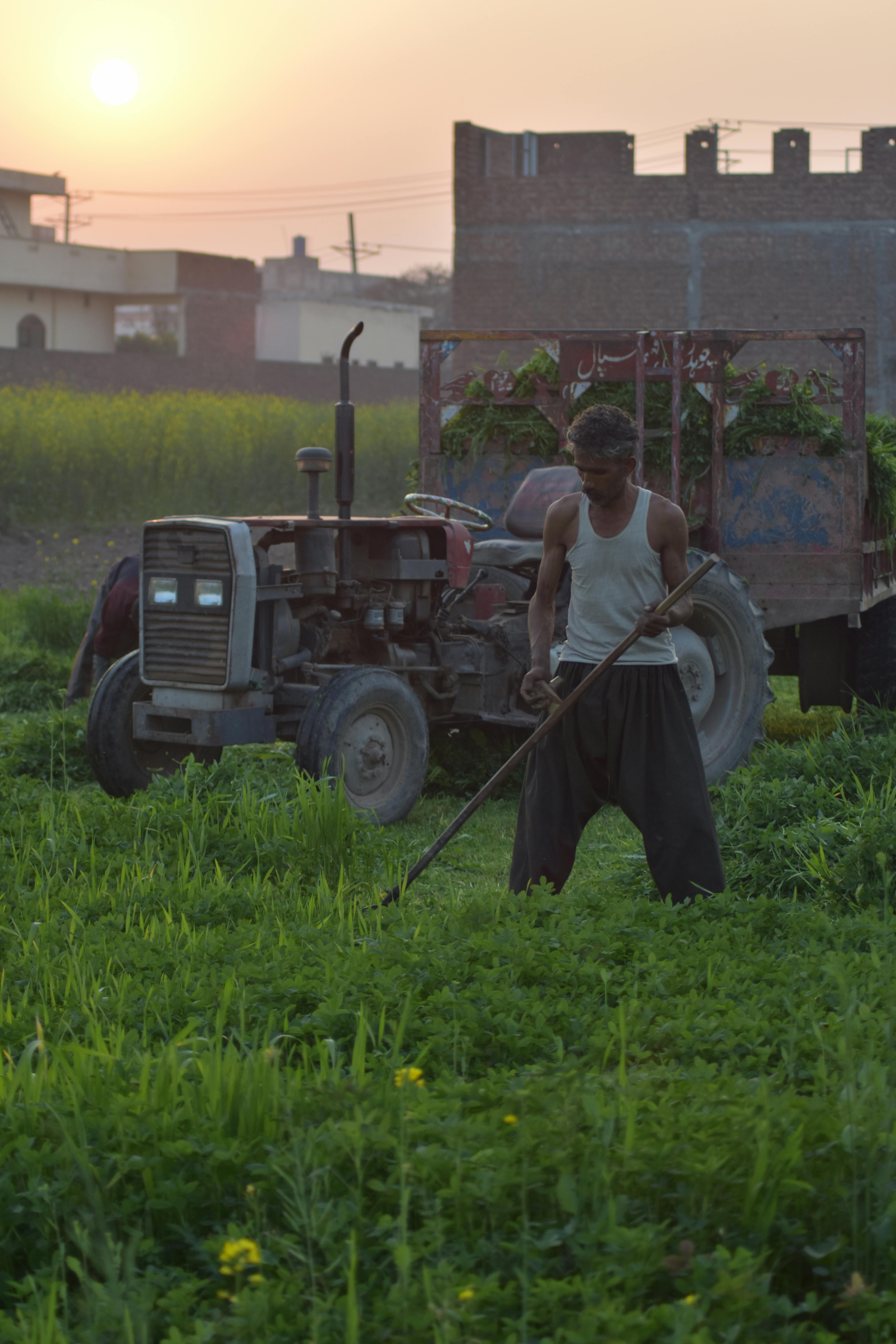 Farmer Working in Field at Sunset · Free Stock Photo