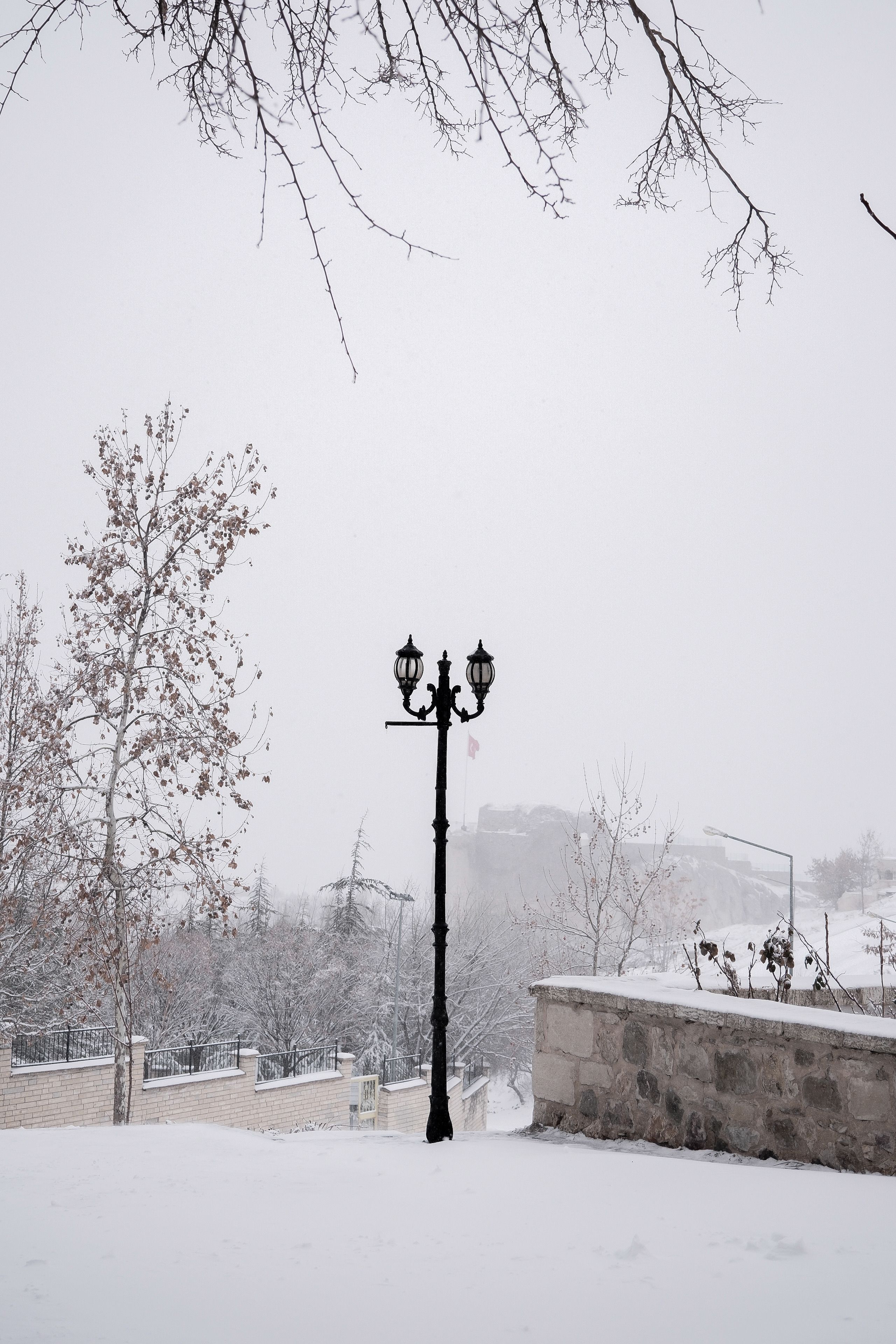 Serene Winter Landscape with Vintage Lamp Post · Free Stock Photo