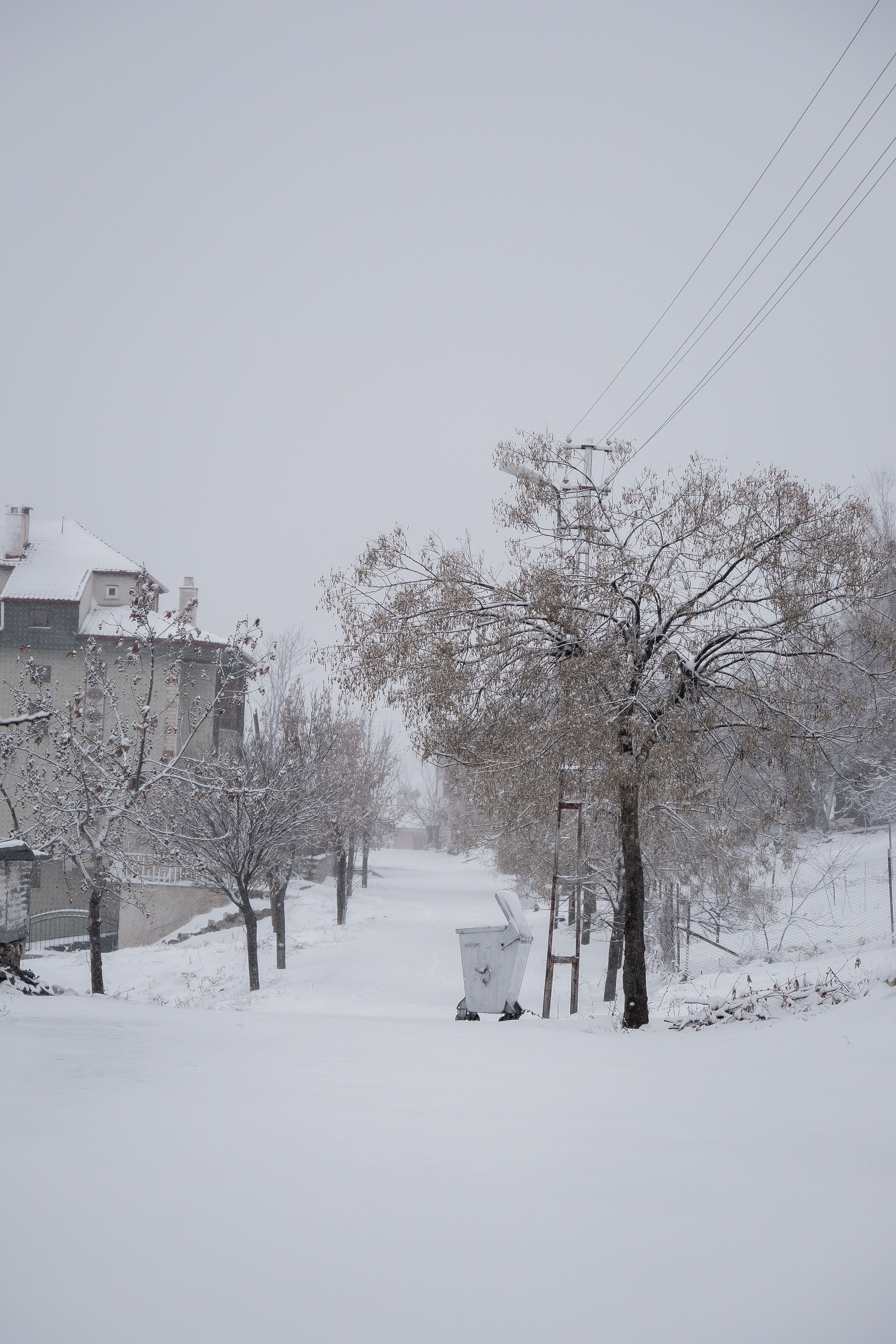 Serene Snow-covered Urban Street in Winter · Free Stock Photo