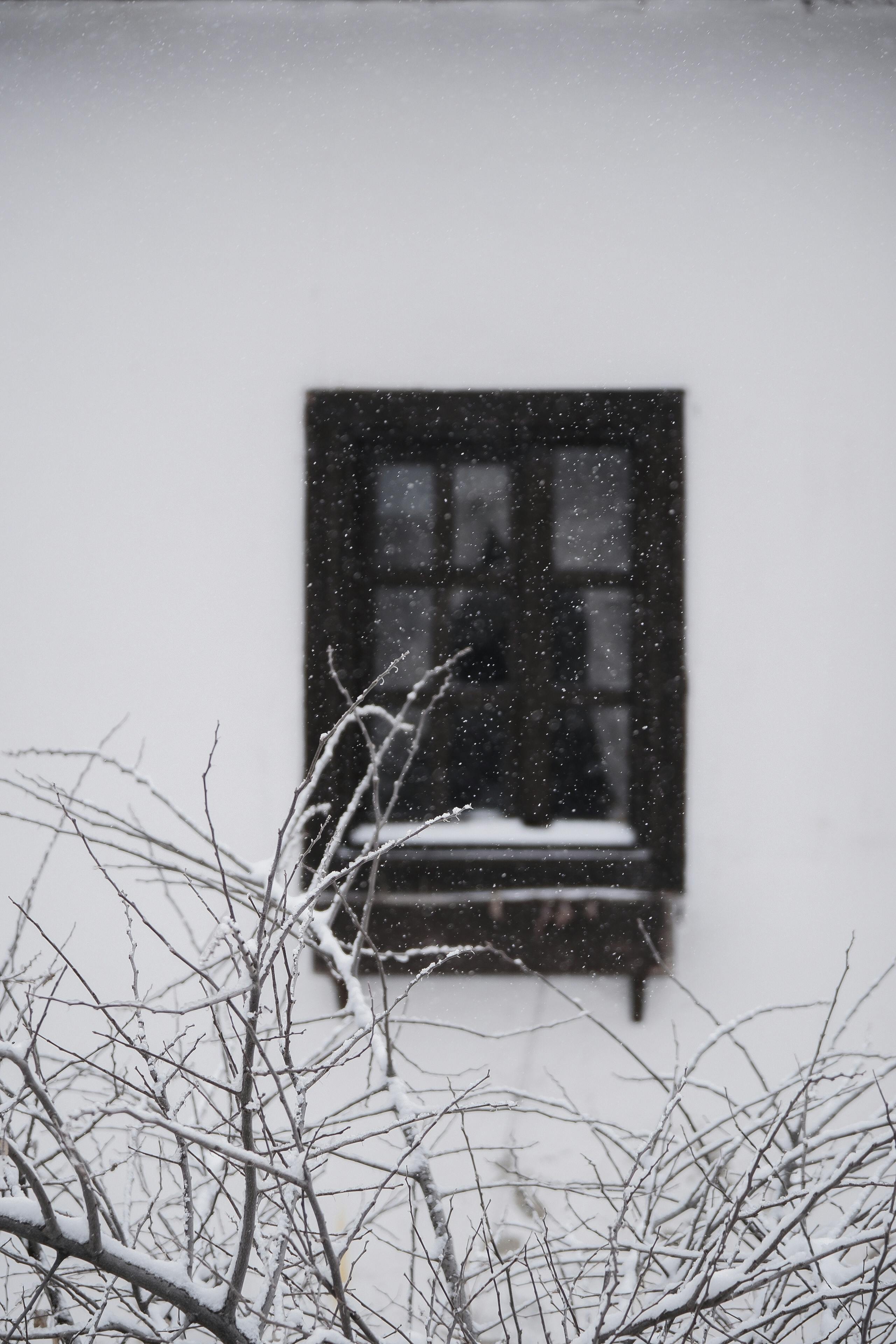 Snowfall on Bare Branches and Rustic Window Scene · Free Stock Photo