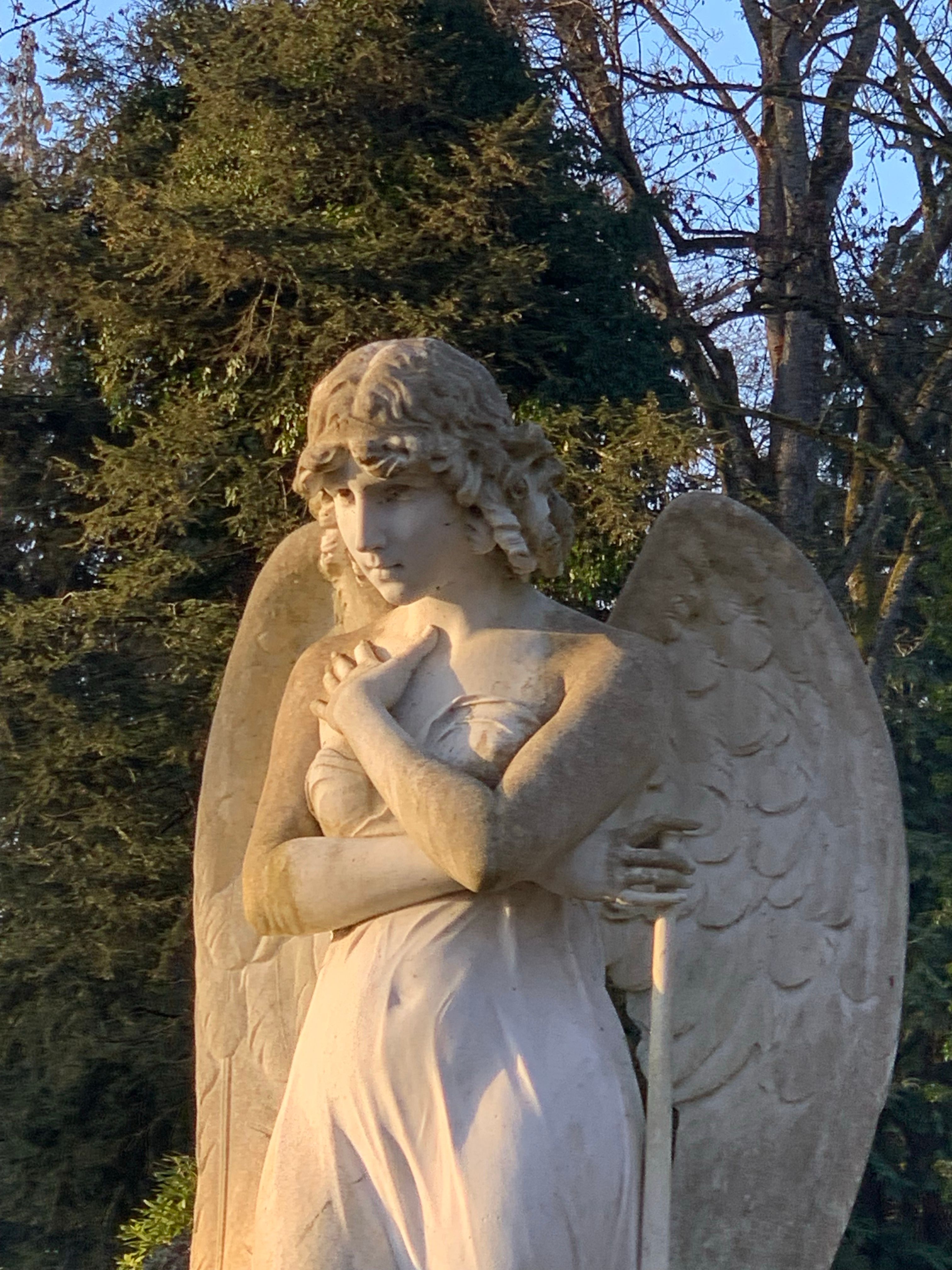Serene Angel Statue in Sunlit Forest · Free Stock Photo