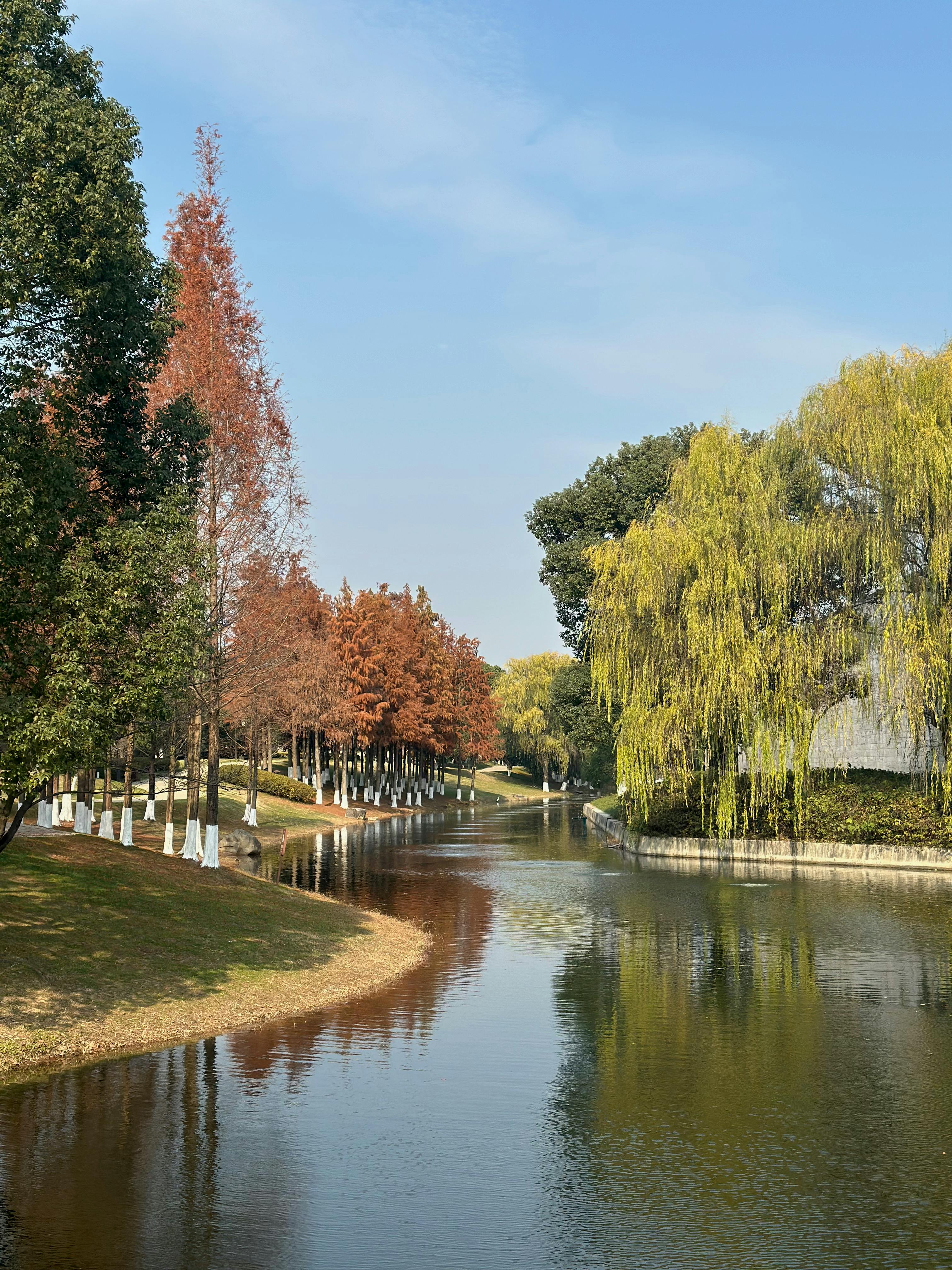 Nature Horizontal Scenery Photos, Download The BEST Free Nature ...