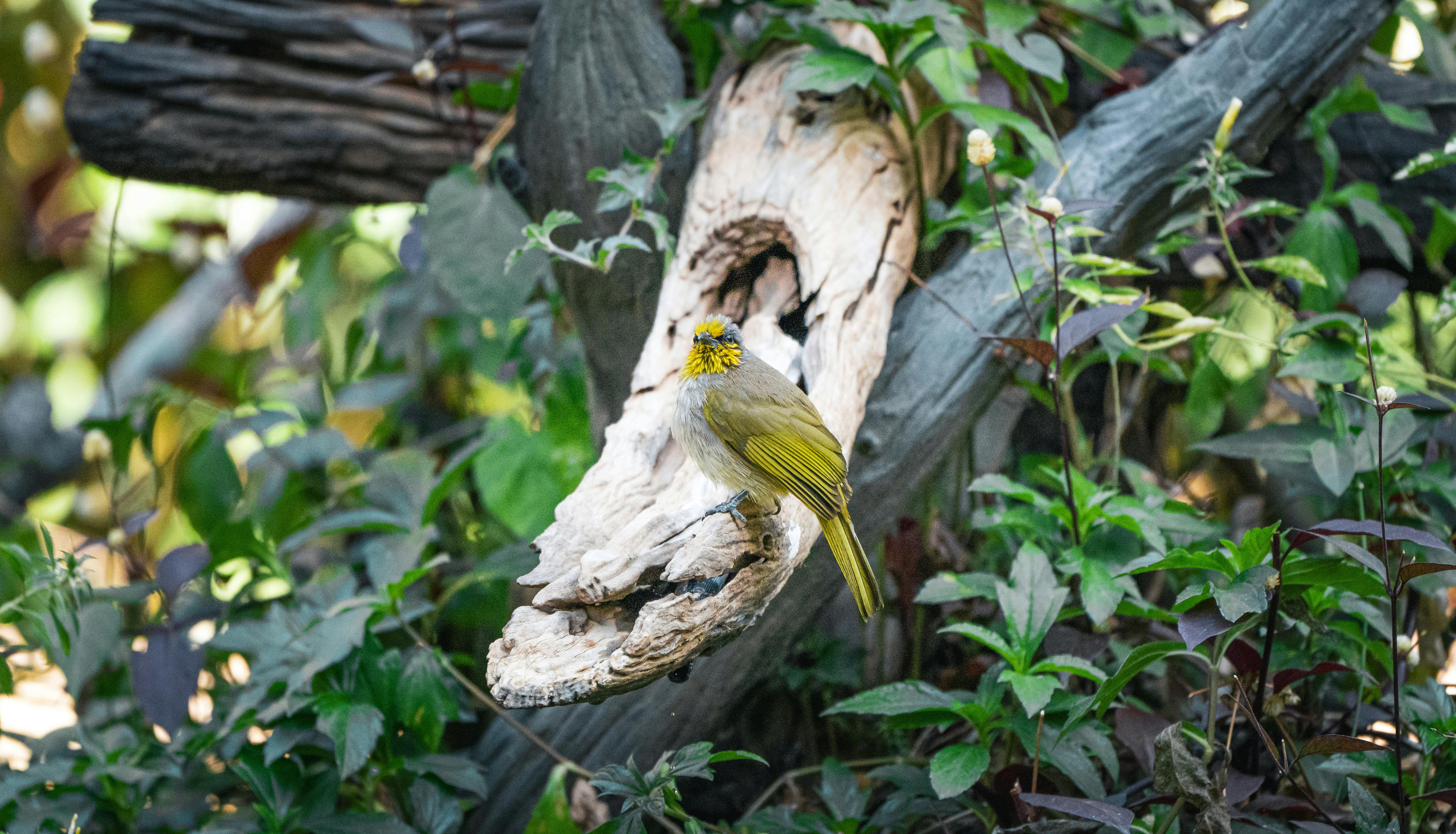 Plot Photos Download Photos, Download The BEST Free Plot Photos ...