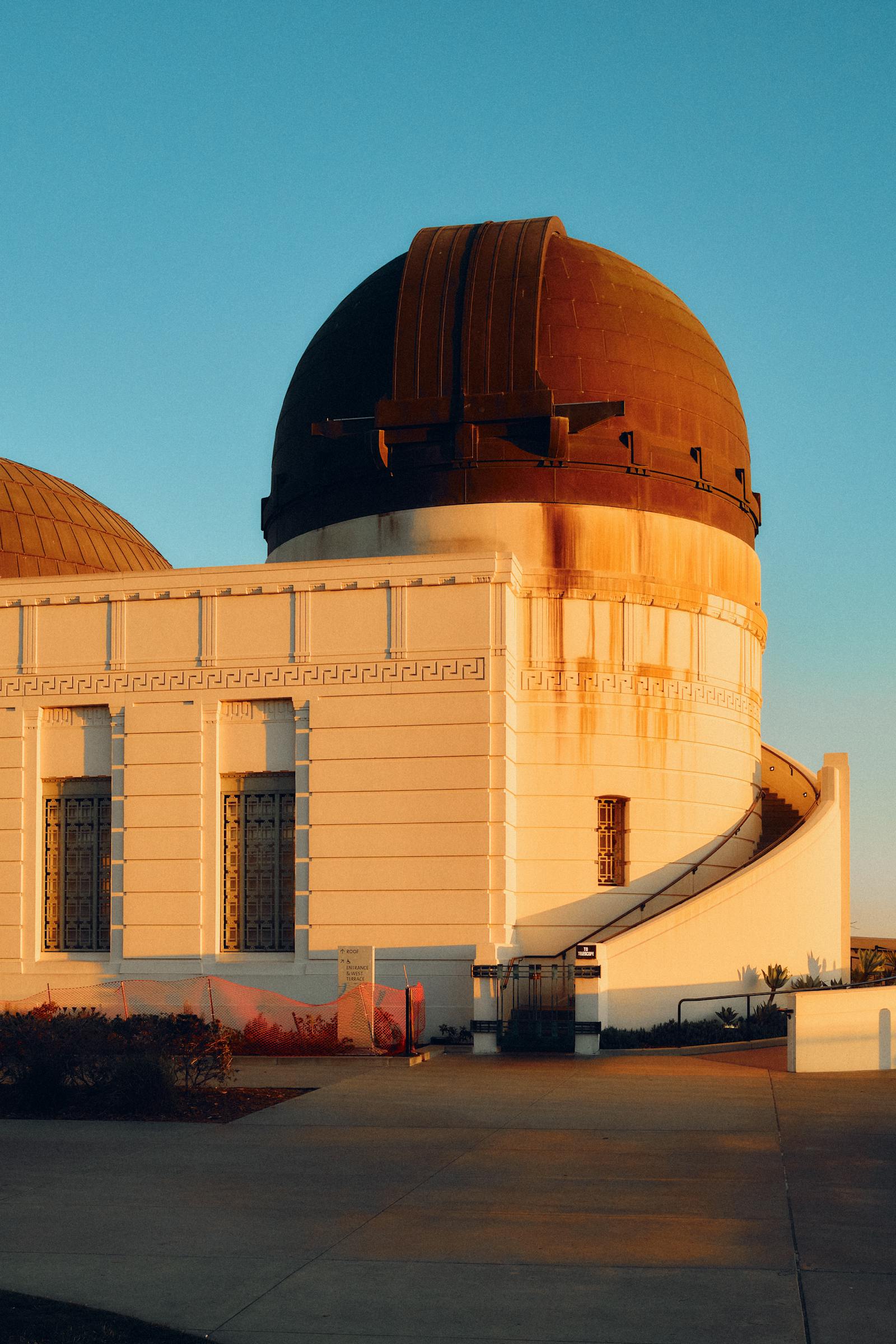 Janice Griffith Photos, Download The BEST Free Janice Griffith Stock ...