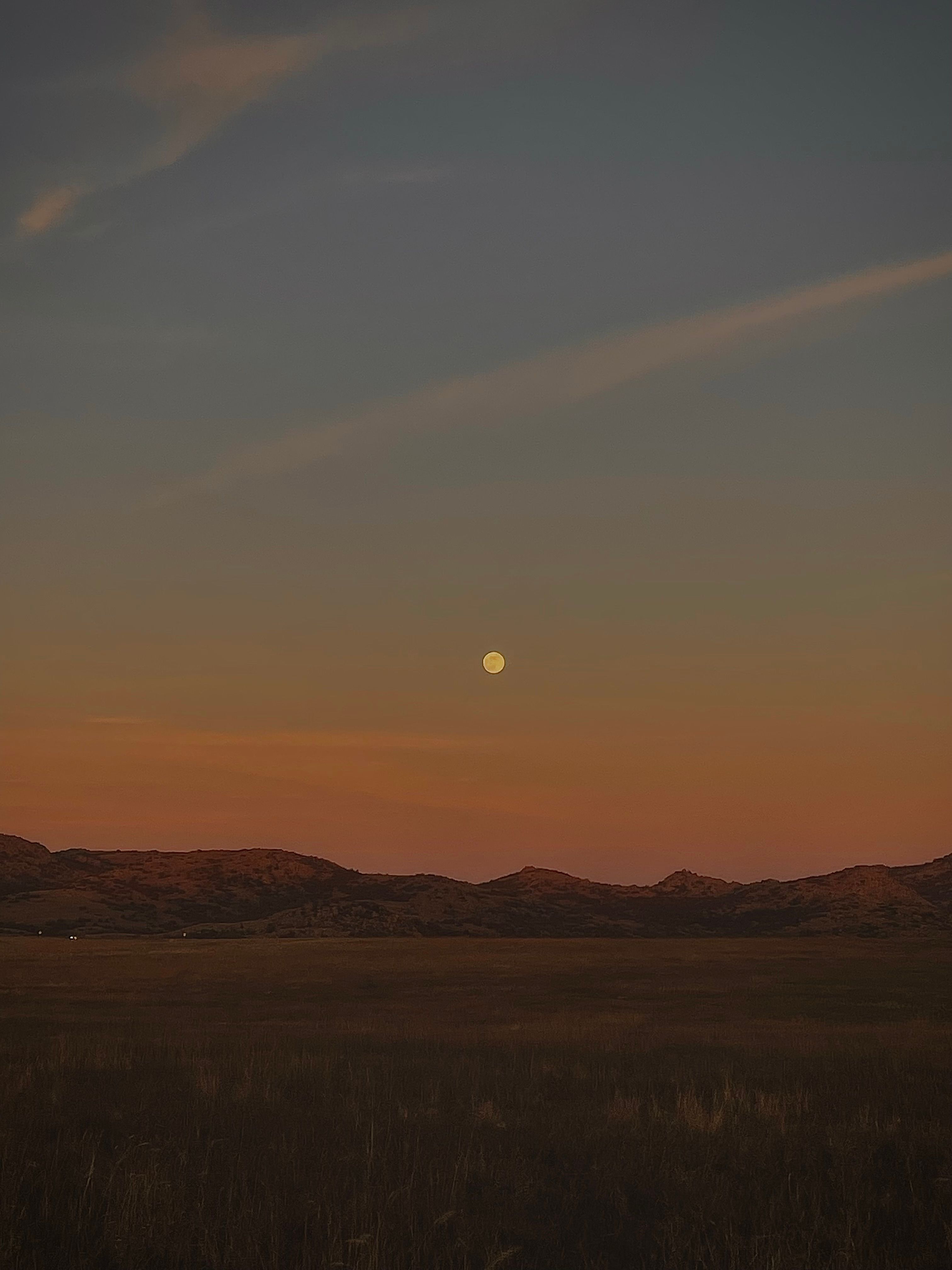 Serene Evening Landscape with Rising Moon · Free Stock Photo