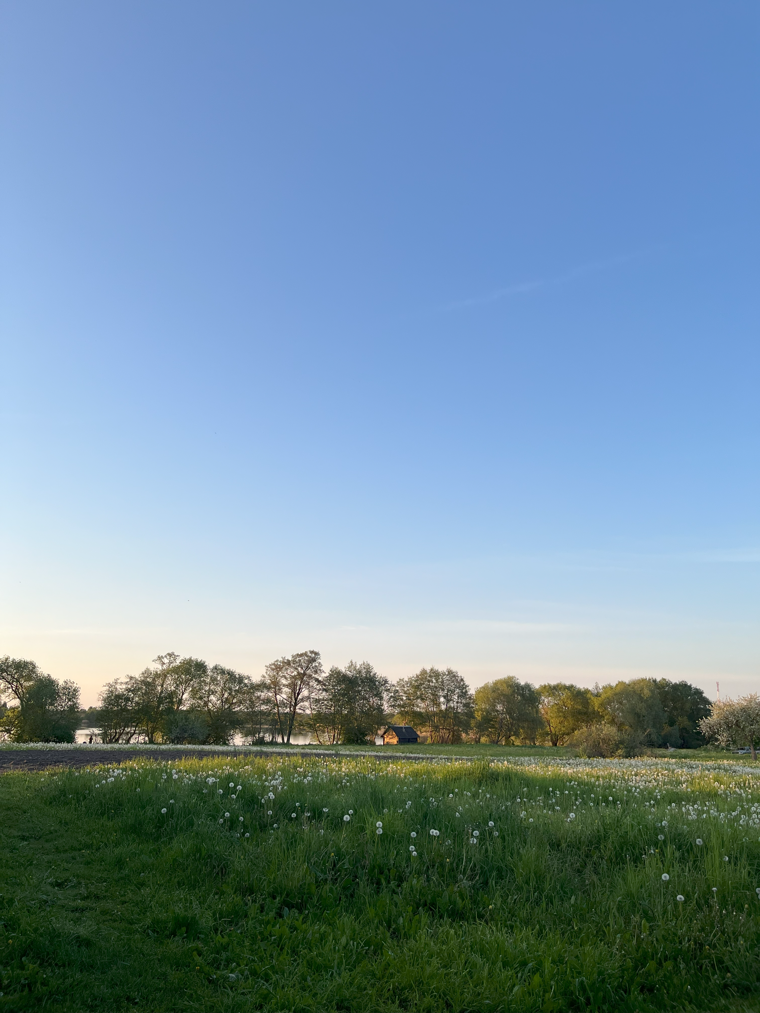 Serene Countryside Landscape at Dusk · Free Stock Photo