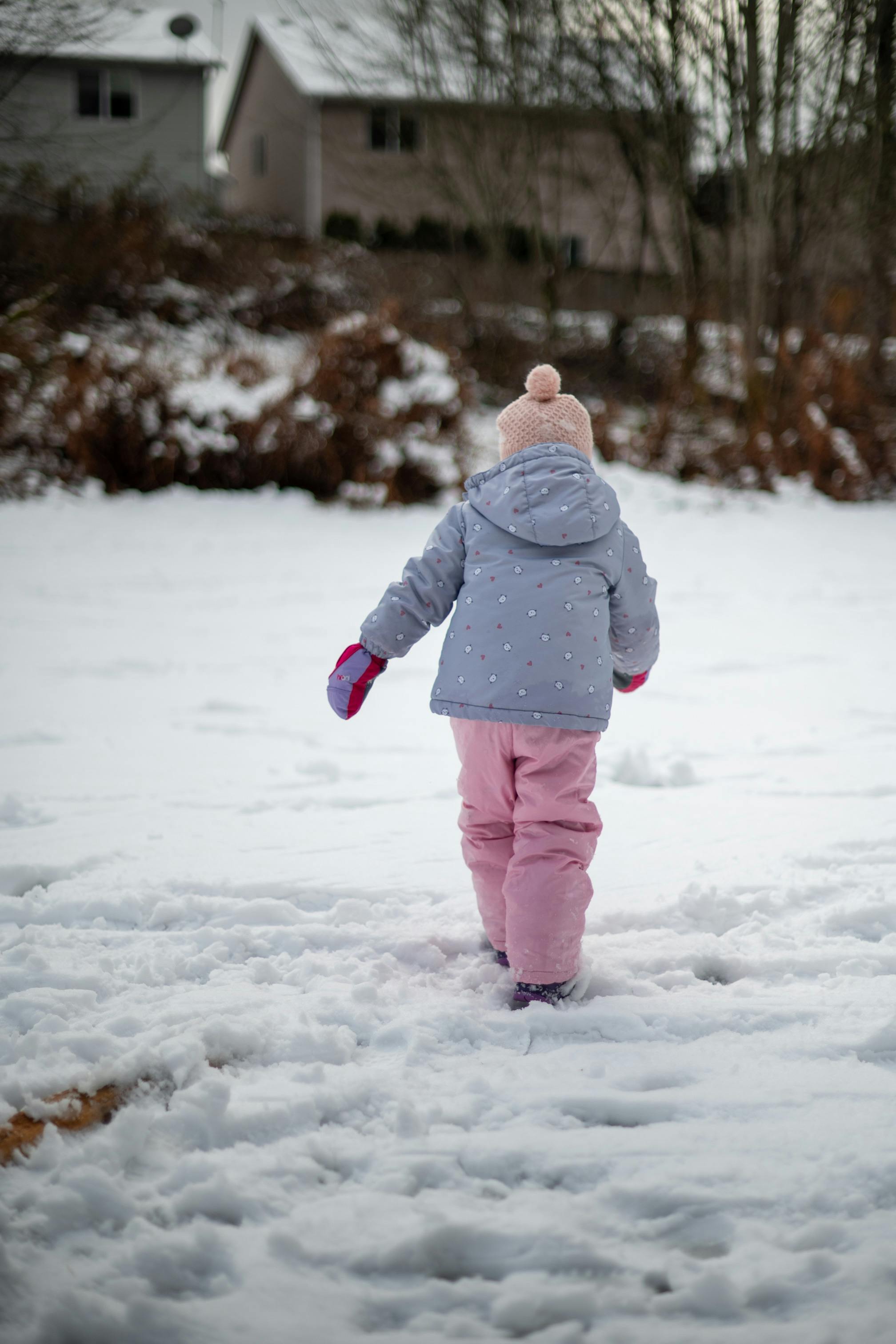 Snowflake Ping Photos, Download The BEST Free Snowflake Ping Stock ...