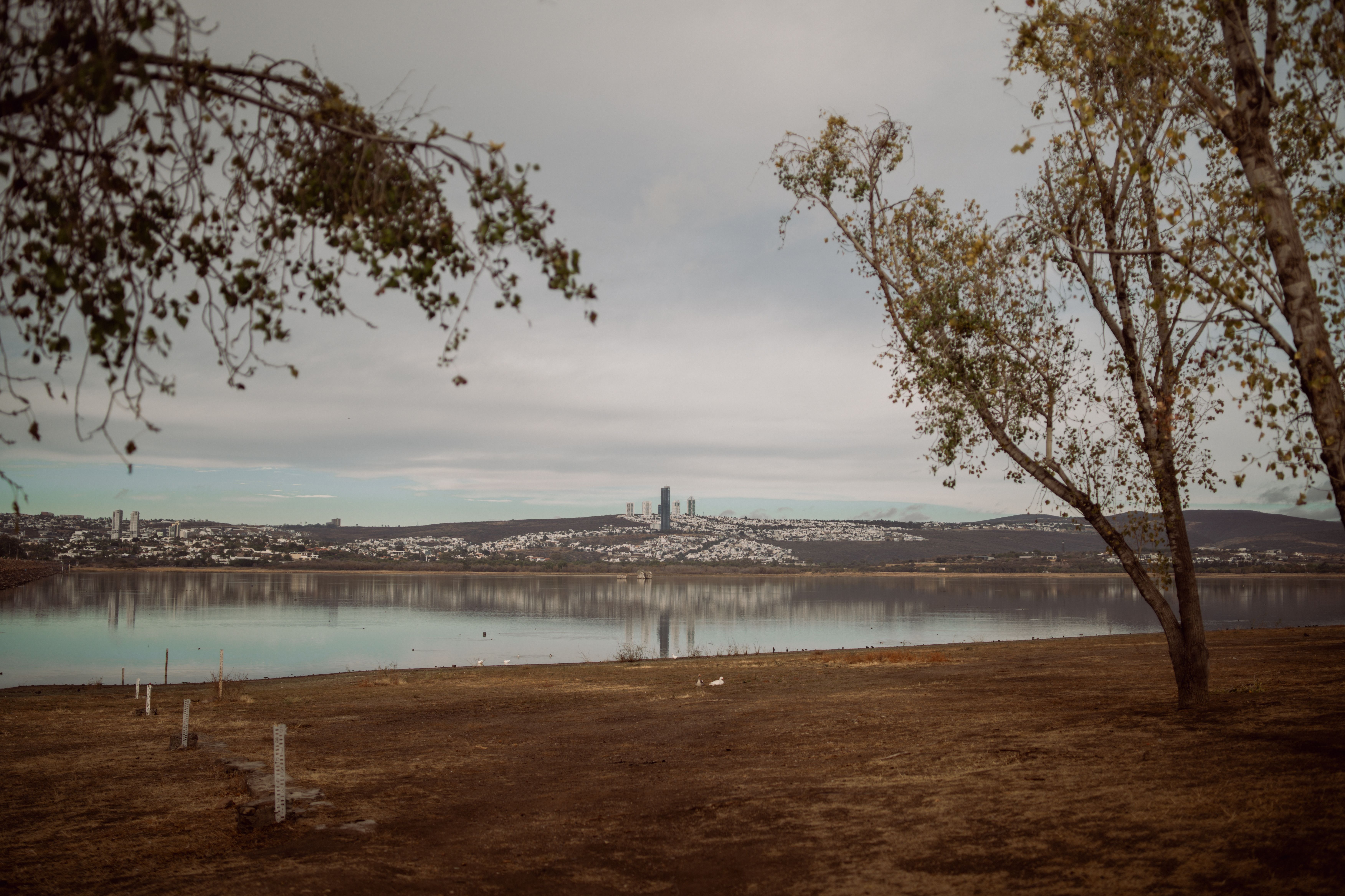 Scenic Lake View with Distant City Skyline · Free Stock Photo