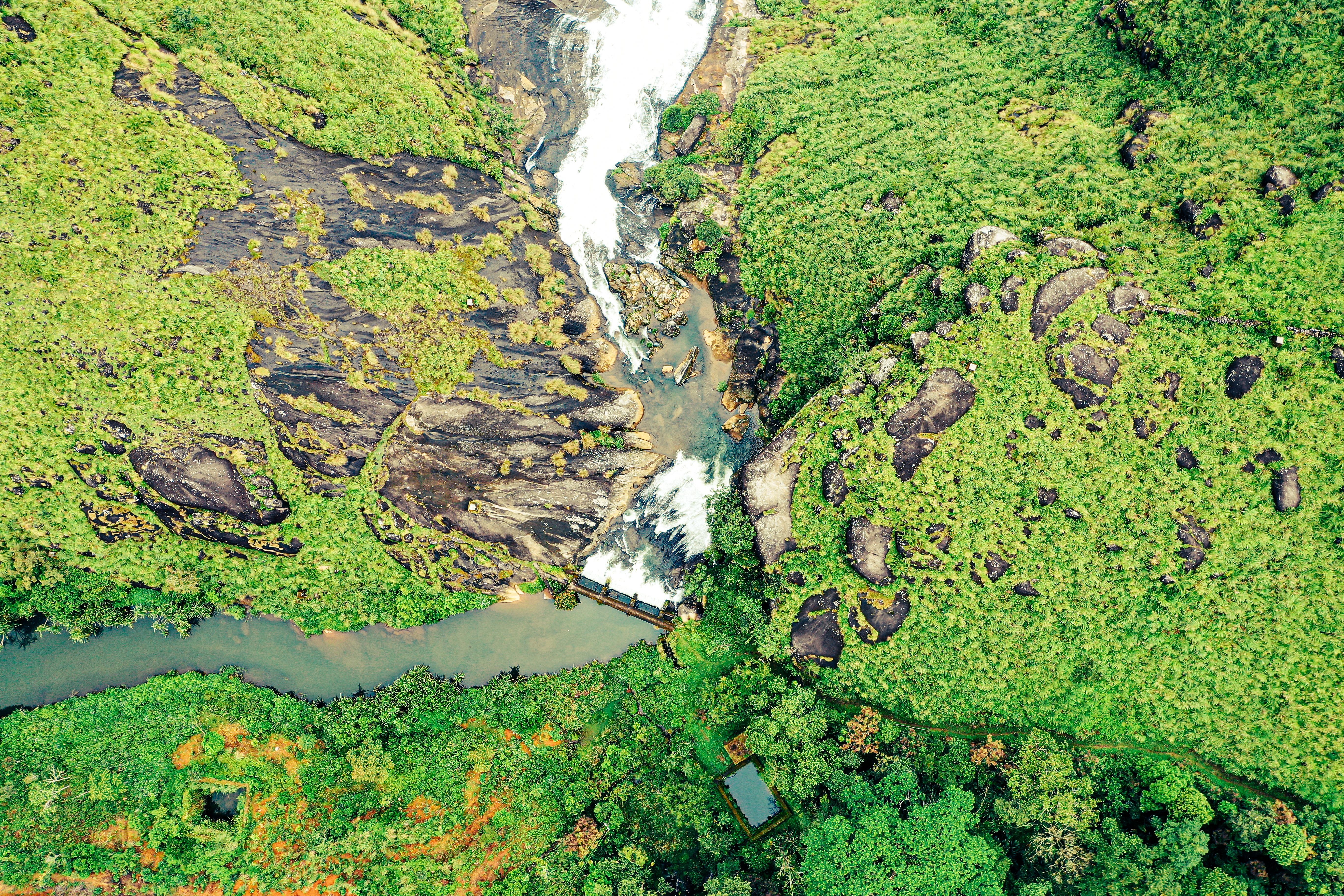 Aerial View of Lush Greenery and Waterfall in Karnataka · Free Stock Photo