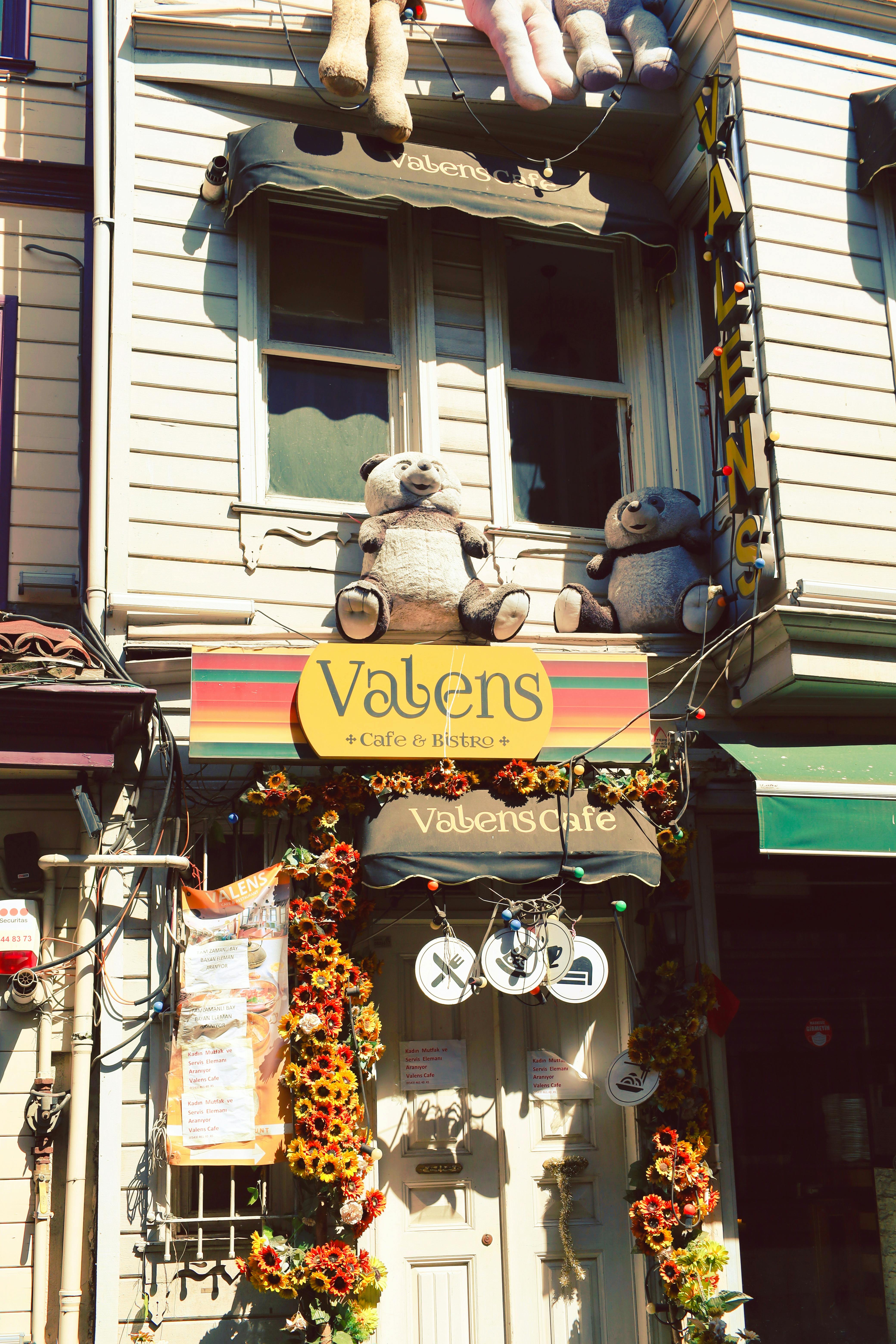 Charming Istanbul Café with Plush Bear Decor · Free Stock Photo