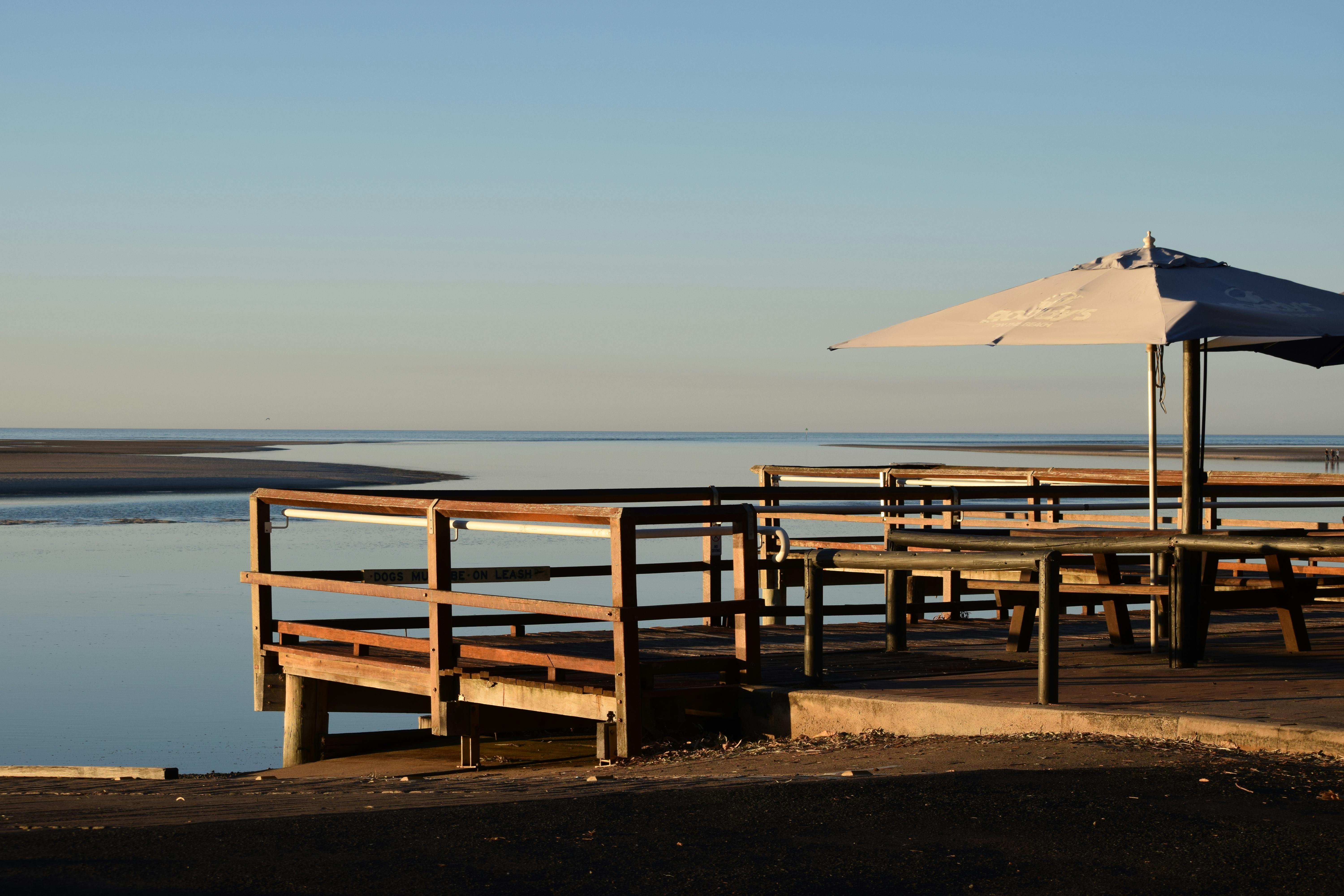 Lion On Wooden Deck Photos, Download The BEST Free Lion On Wooden Deck ...