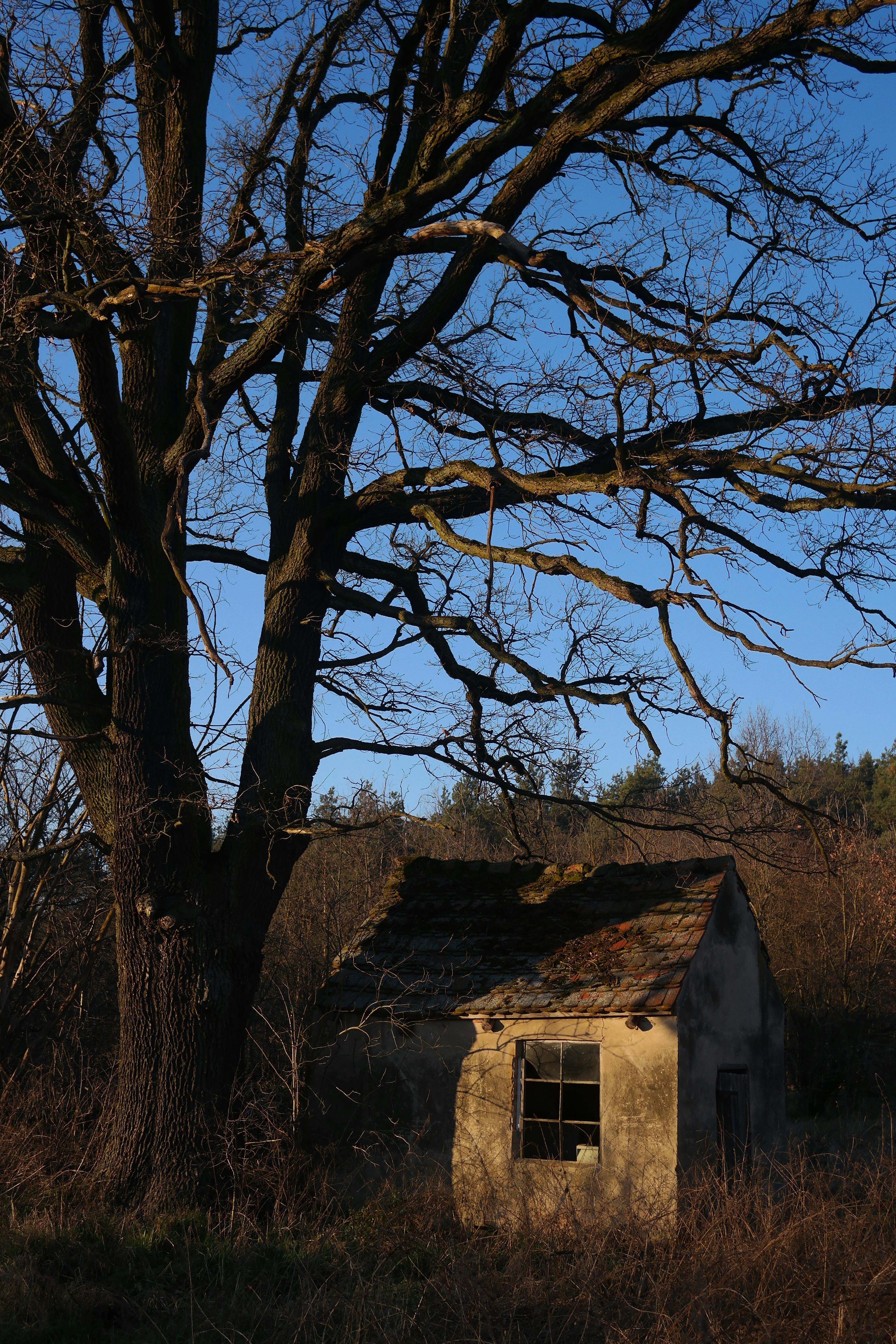 Static Nature Photos, Download The BEST Free Static Nature Stock Photos ...