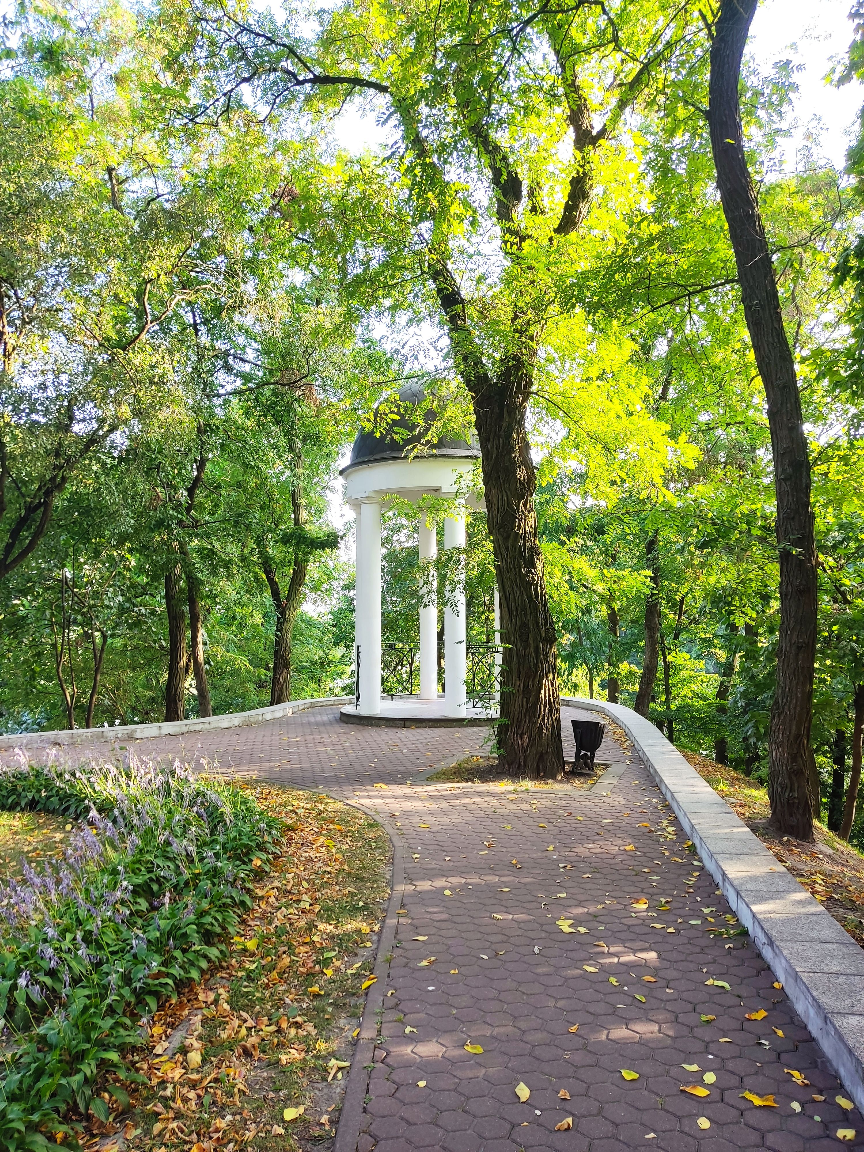 Scenic Park Pathway with Gazebo Among Trees · Free Stock Photo