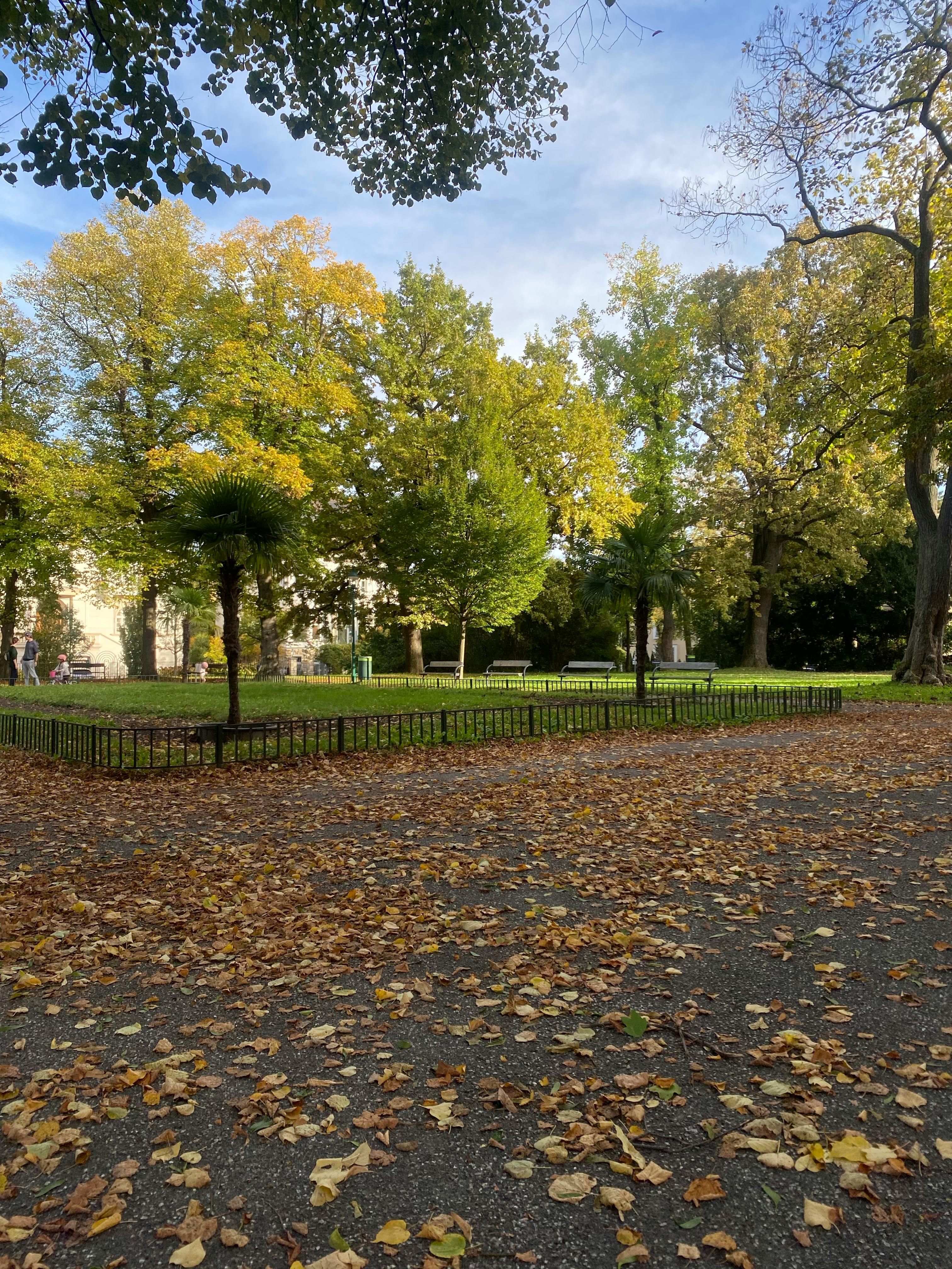 Serene Autumn Park Scene with Fallen Leaves · Free Stock Photo