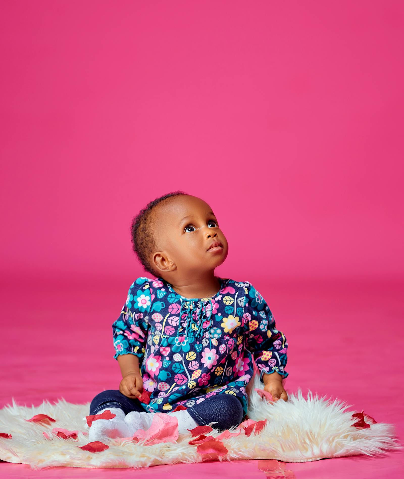 Baby Pink Color Background With Designs In It Photos, Download The BEST ...