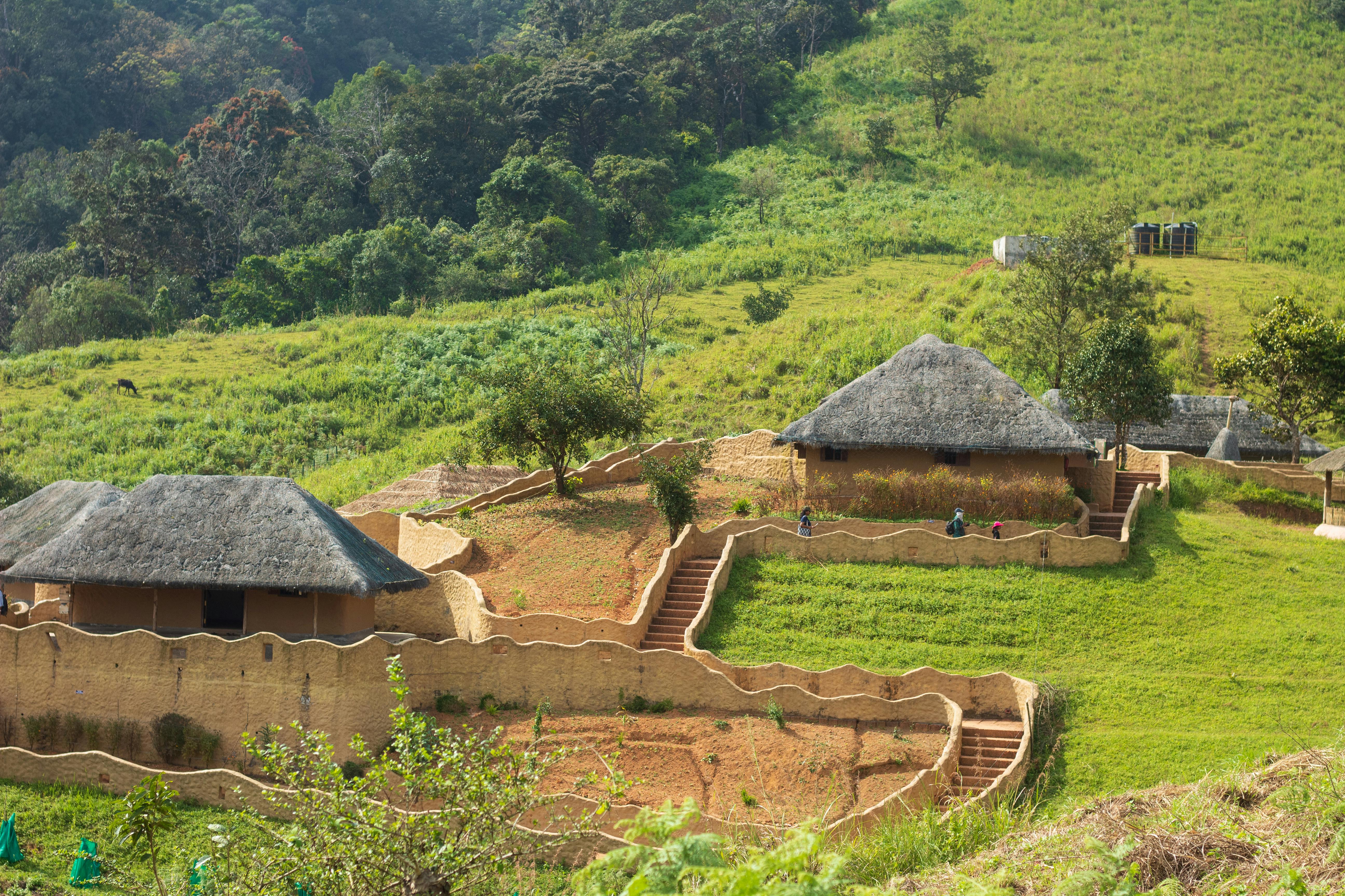 Scenic Rural Landscape in Wayanad, India · Free Stock Photo
