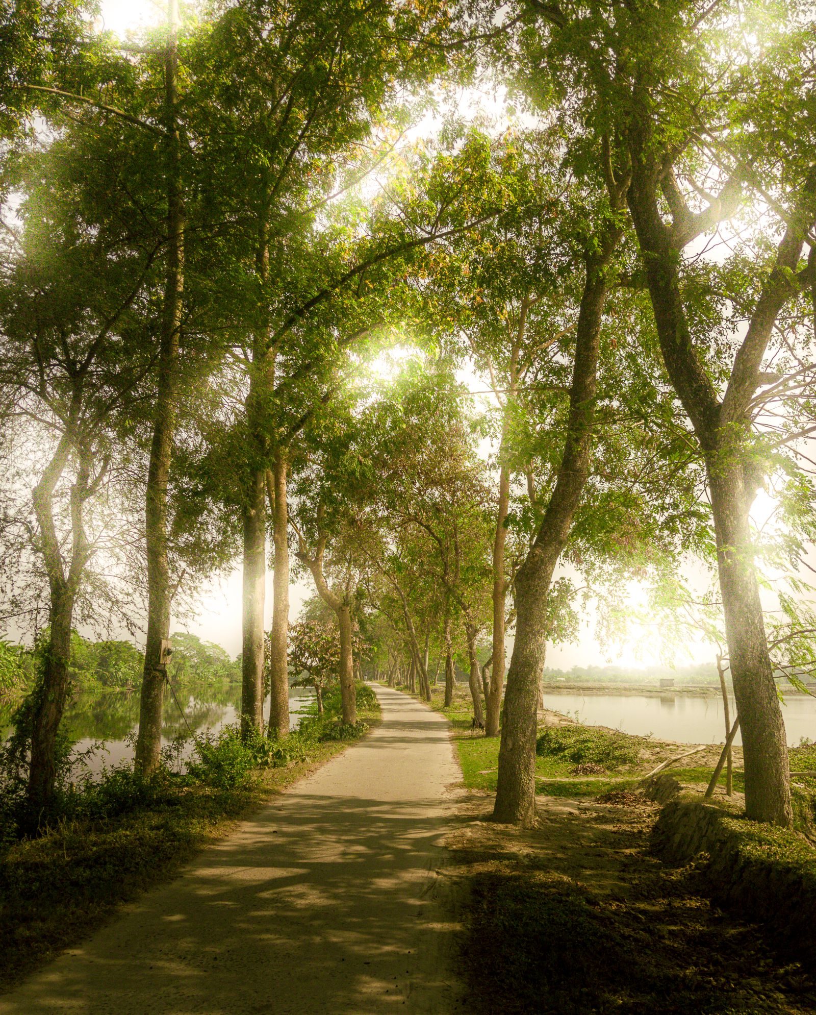India Nature 4k Wallpaper Photos, Download The BEST Free India Nature ...