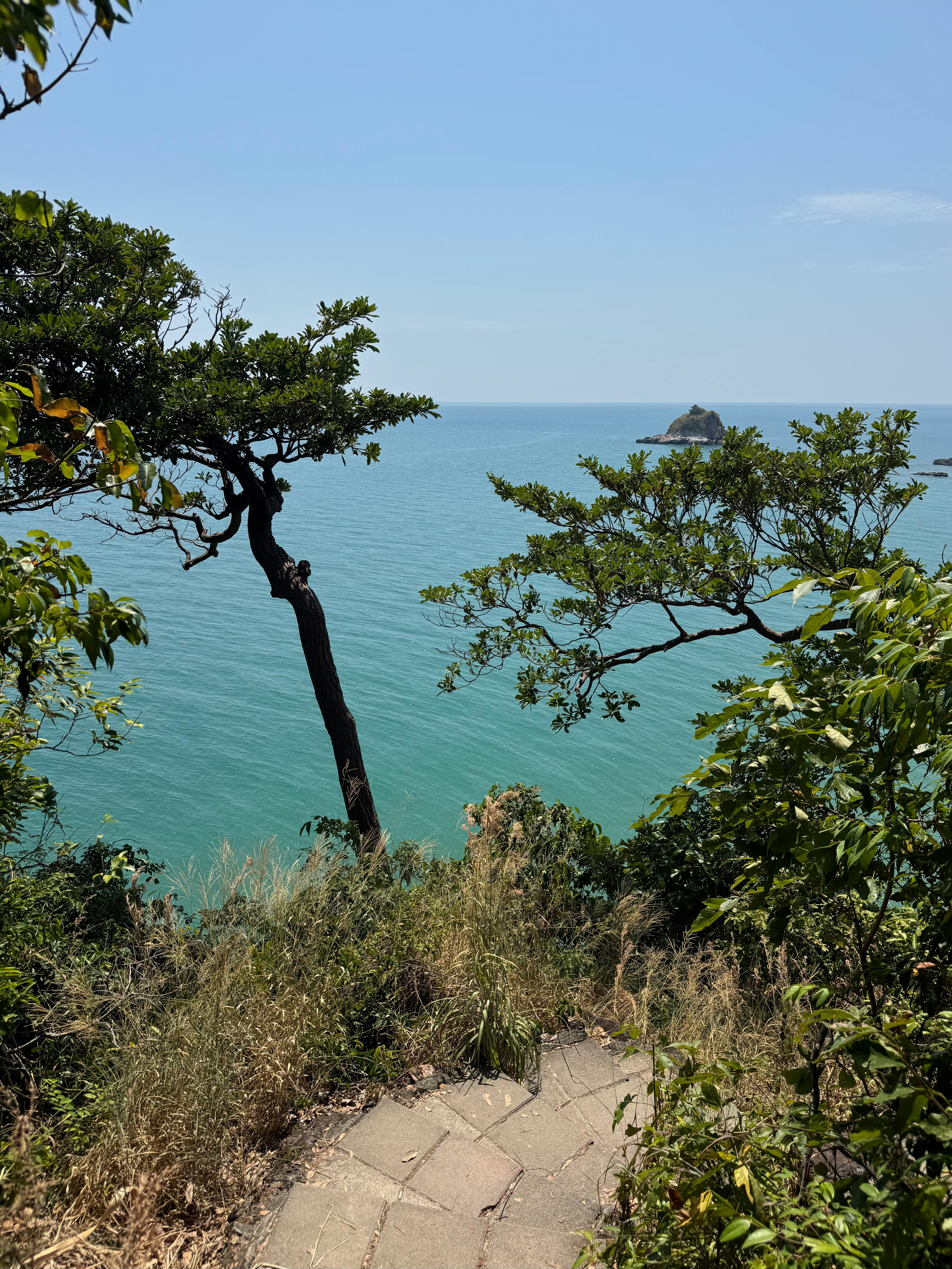 Scenic Ocean View with Lush Greenery · Free Stock Photo