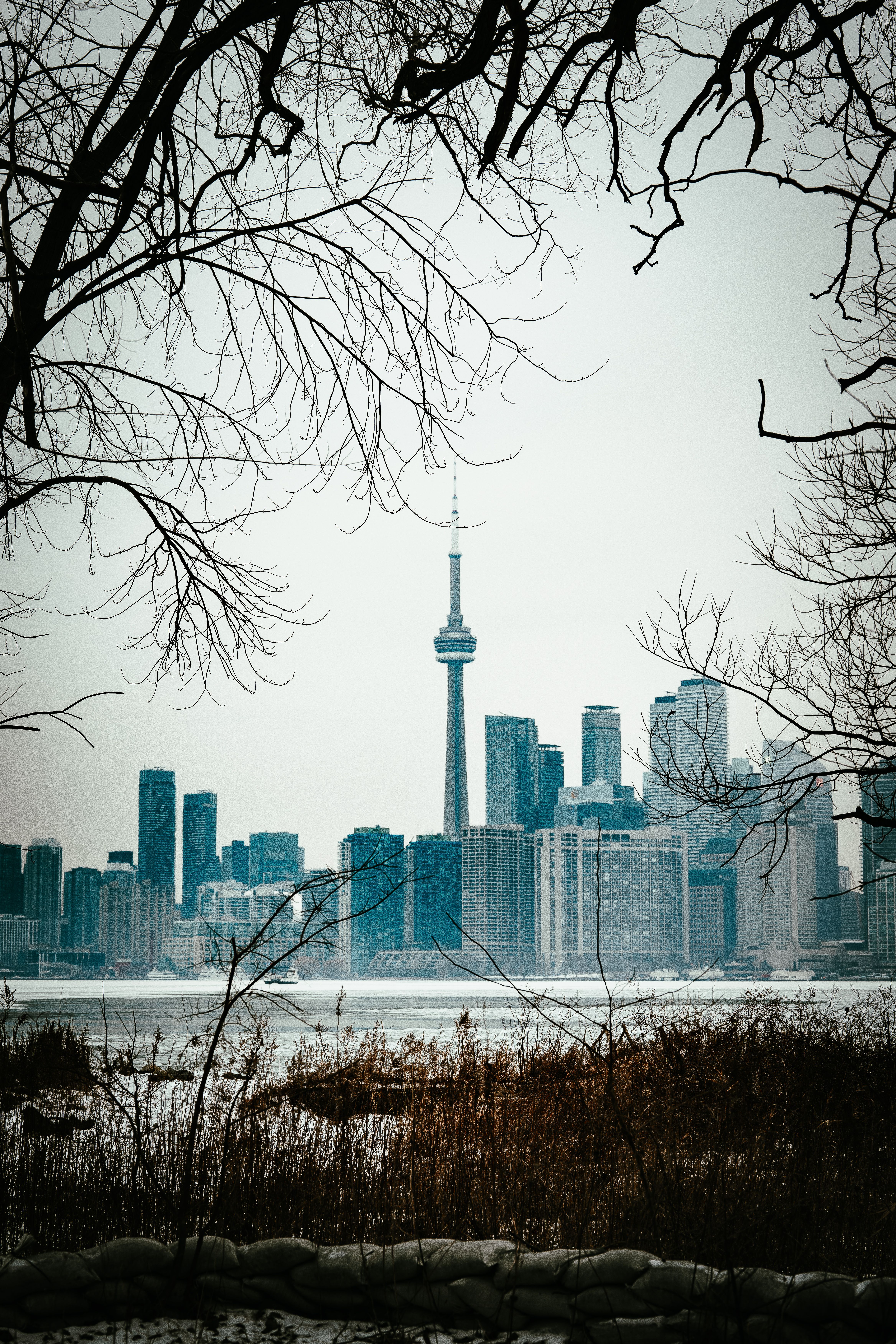 Toronto Skyline with CN Tower in Winter · Free Stock Photo