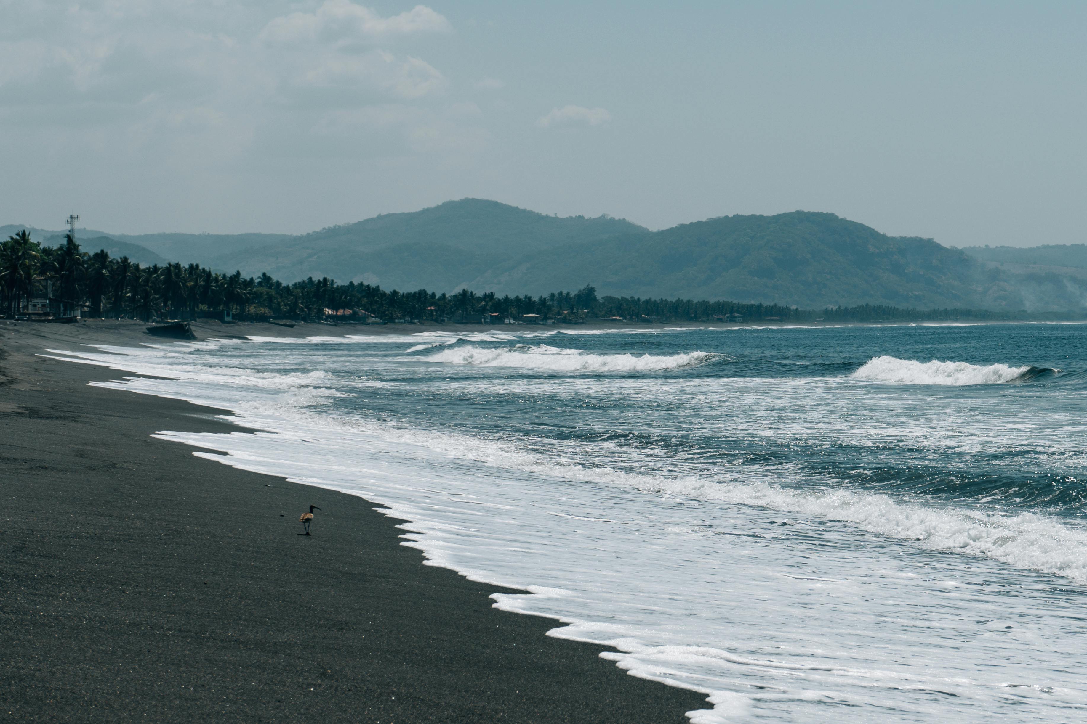 Beach Wanderer Photos, Download The BEST Free Beach Wanderer Stock ...