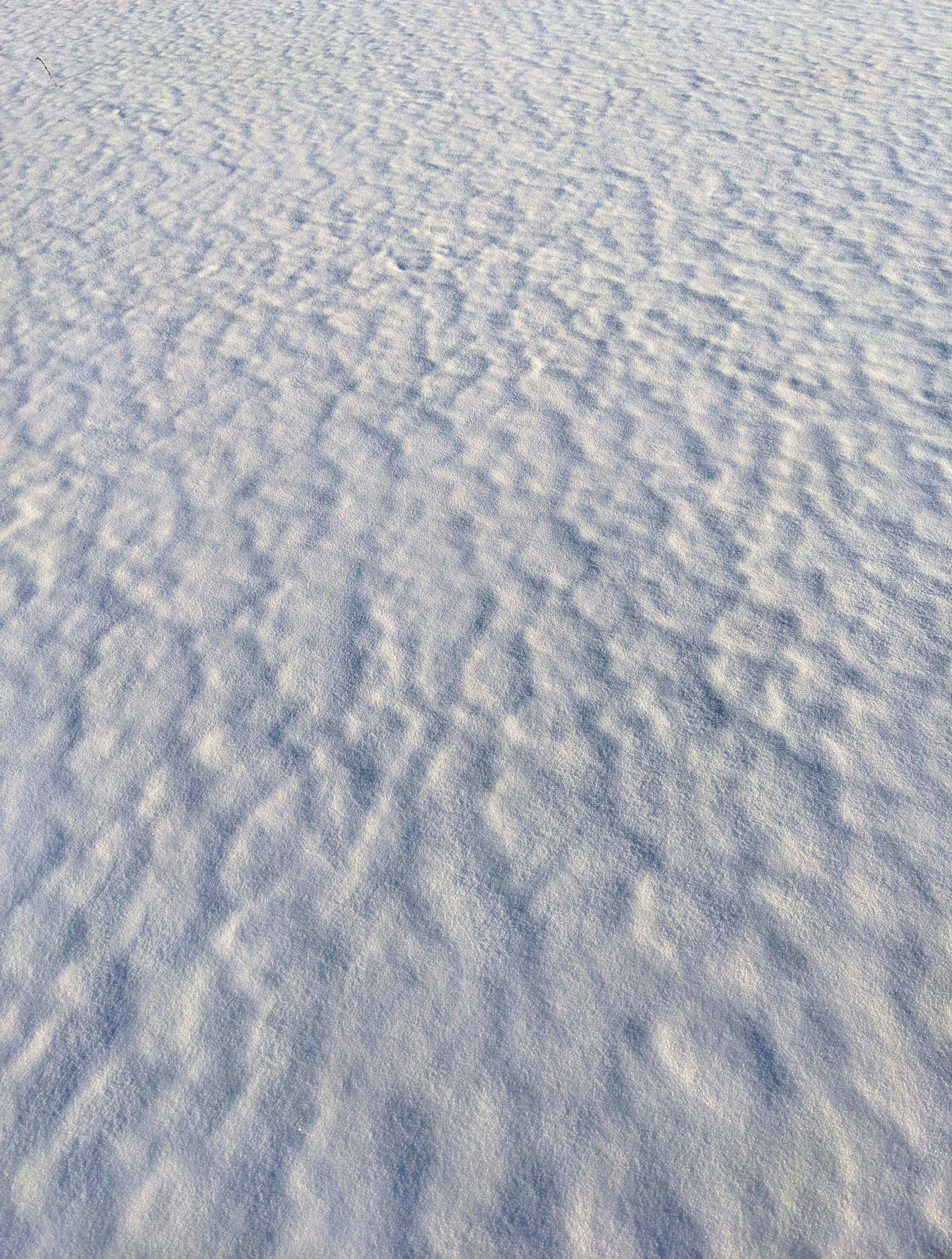 Pristine Snow Surface with Delicate Patterns · Free Stock Photo