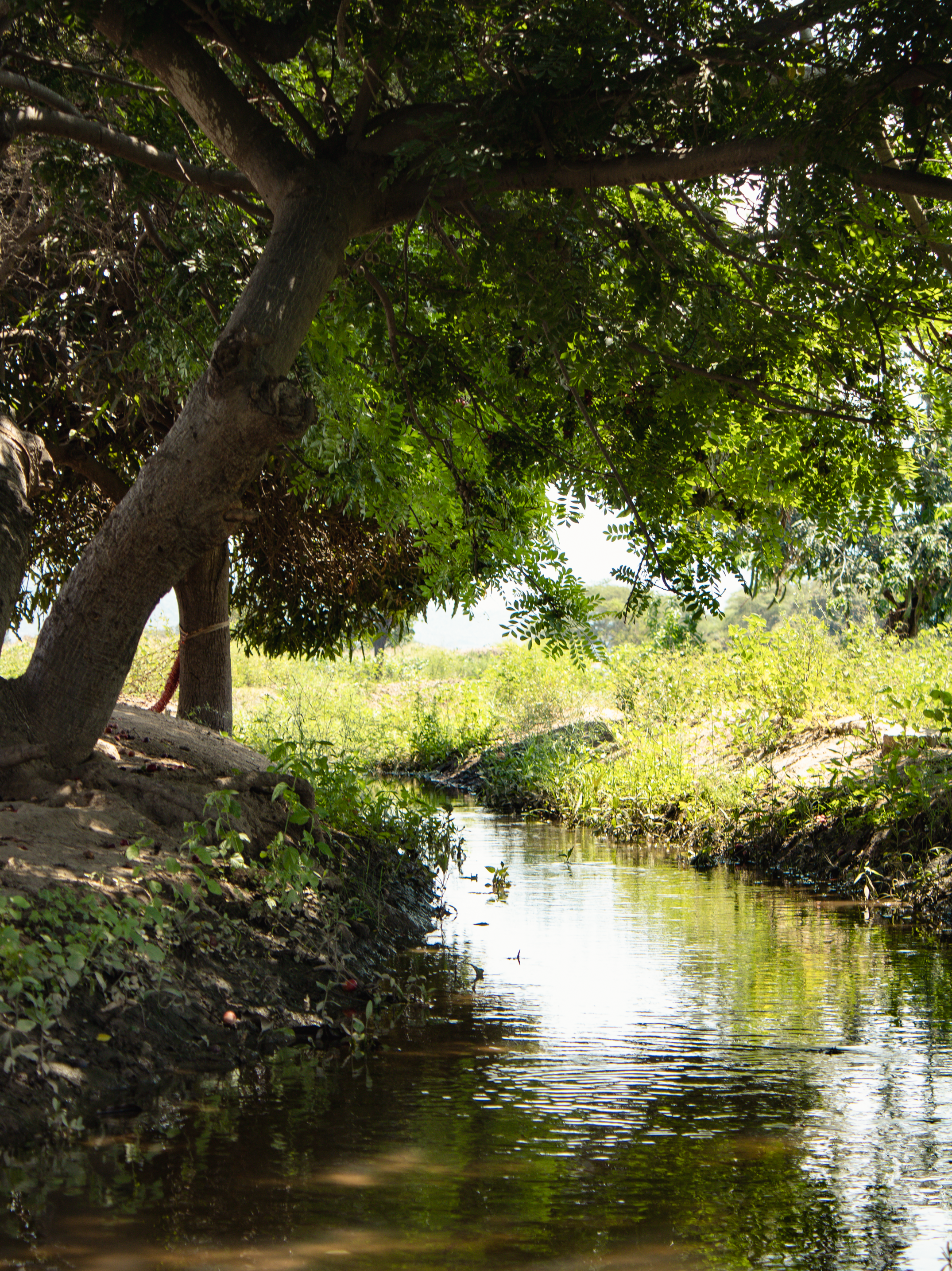 Cauce Seco De Un Río · Foto de stock gratuita