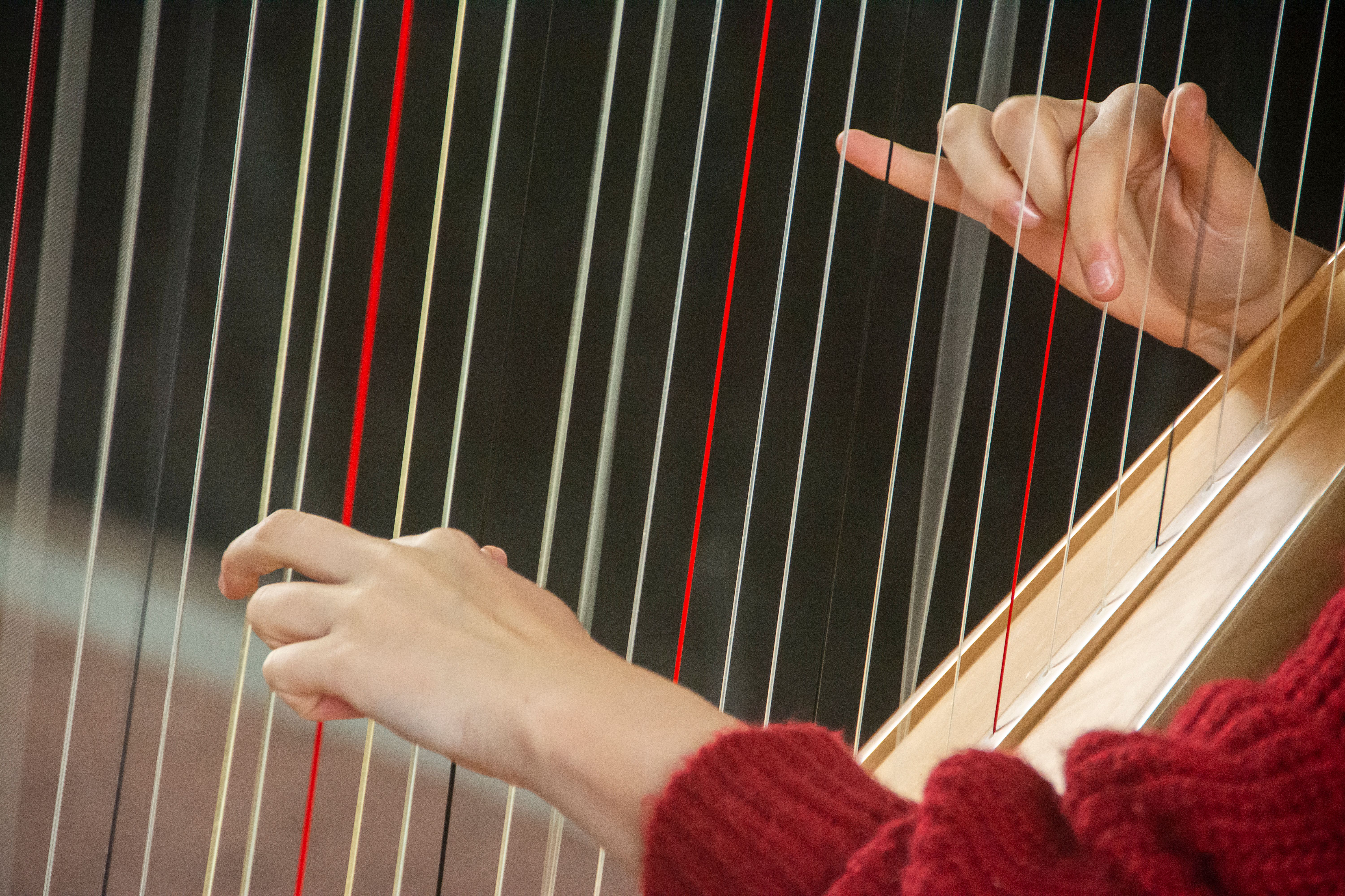 Close-up of Hands Playing a Harp with Strings · Free Stock Photo
