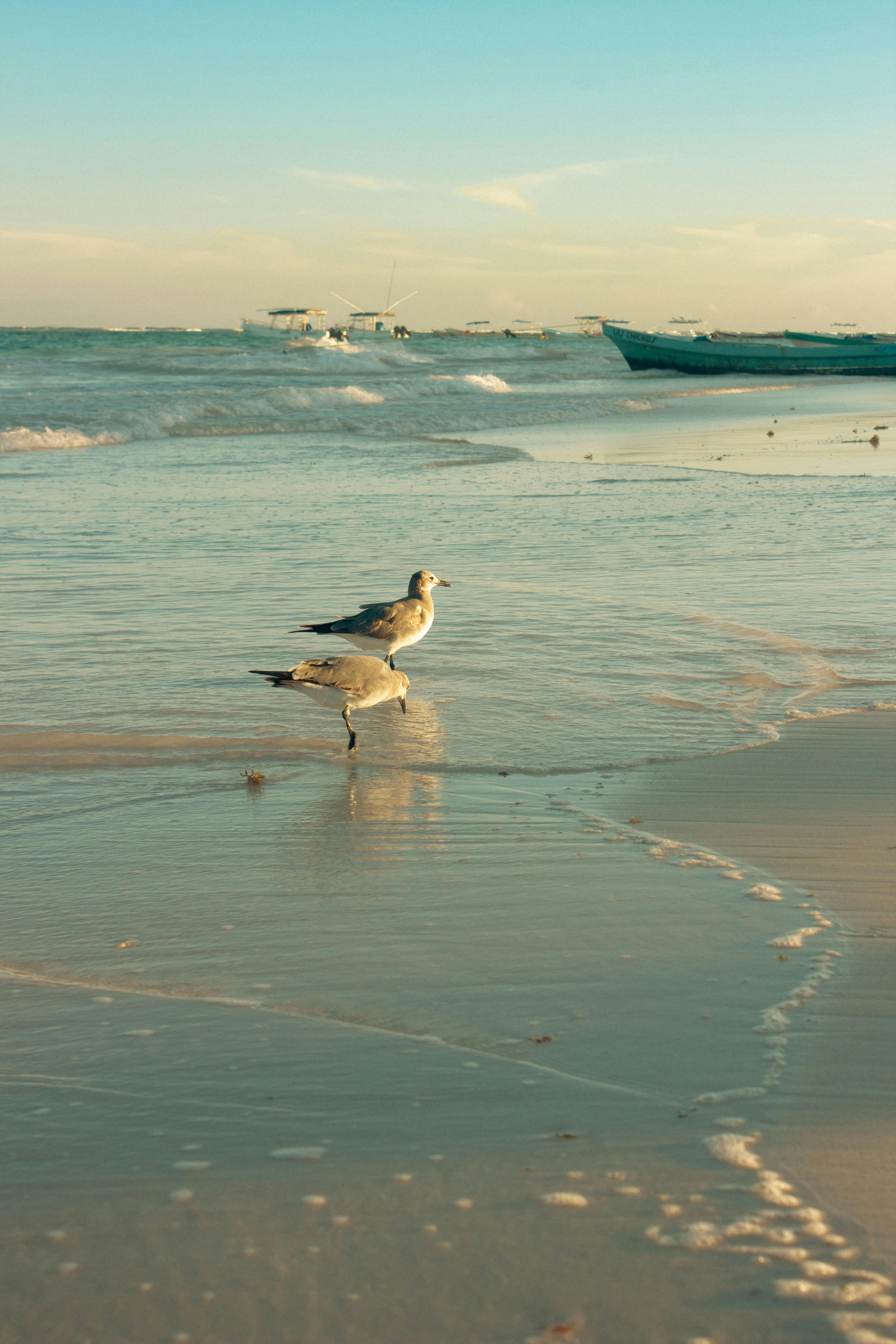 Spring Beach Day Photos, Download The BEST Free Spring Beach Day Stock ...