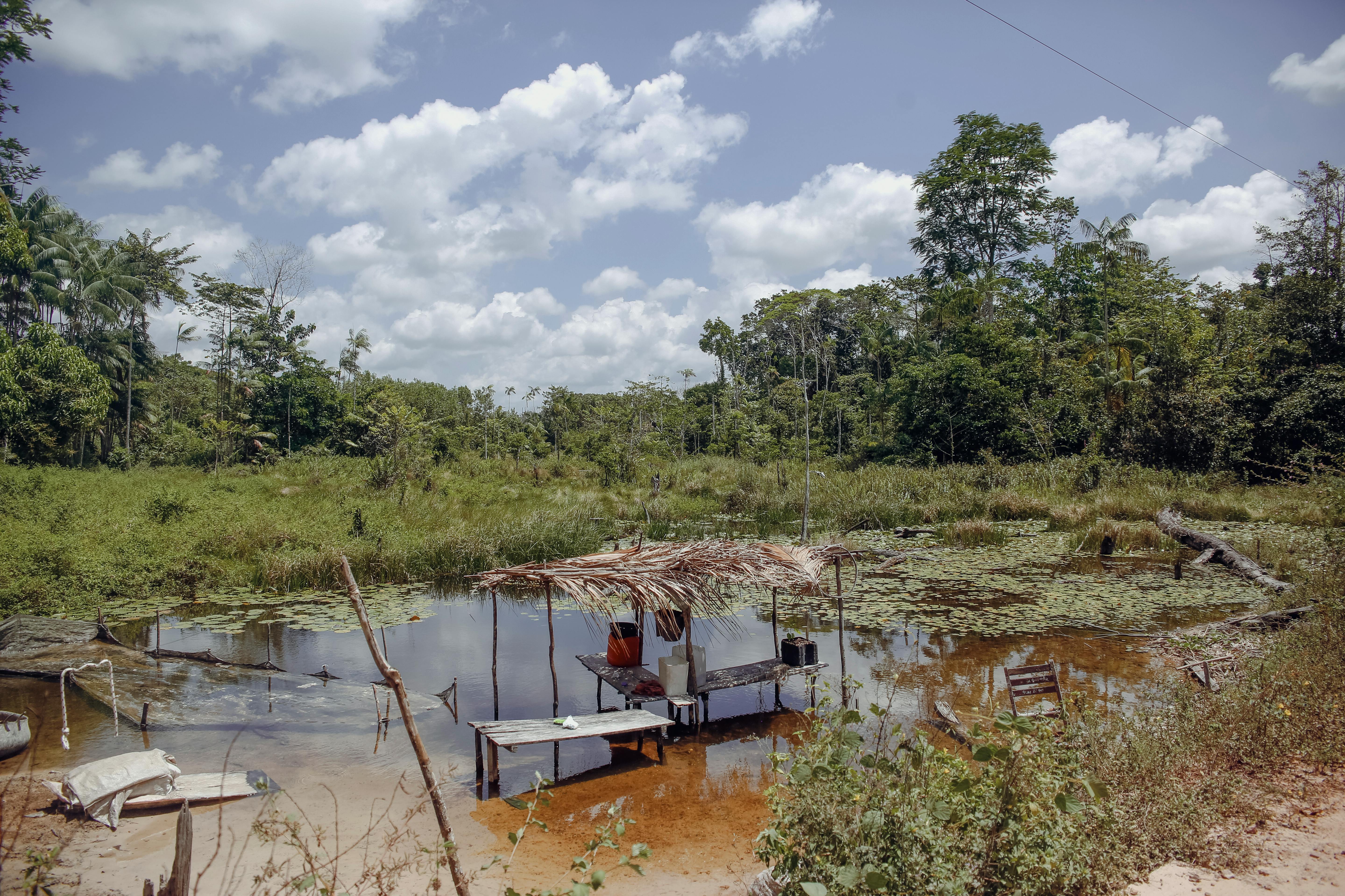 Baira De Igararé · Foto de stock gratuita